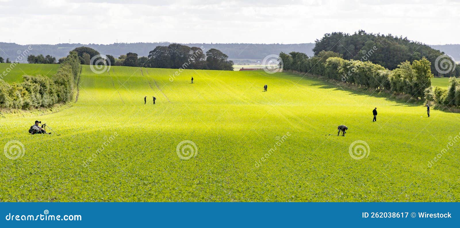 Aerial View of Detectorists Looking for Ancient Metal on the Fields in ...