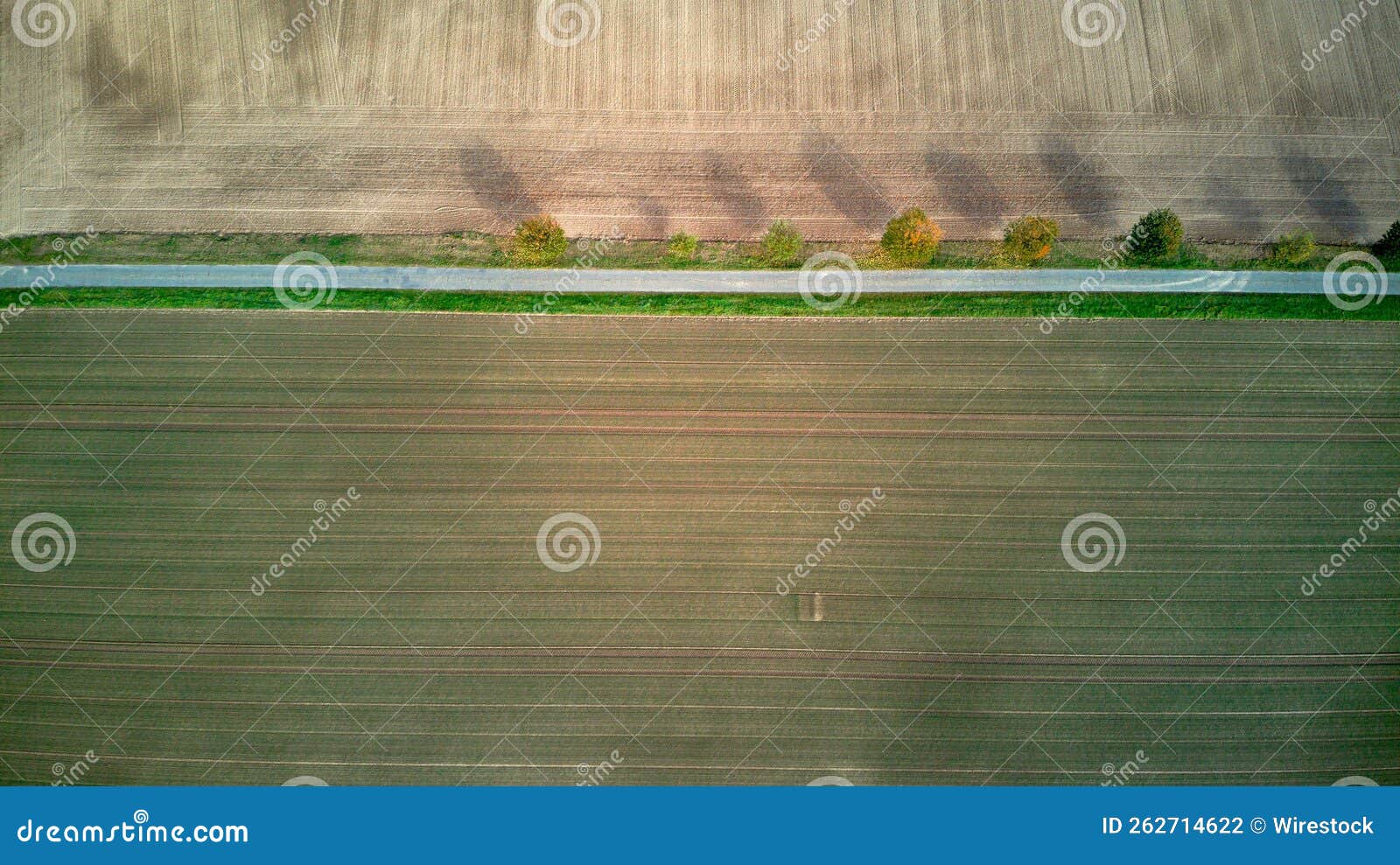 Aerial View of a Dirt Road between Fields Stock Photo - Image of nature ...