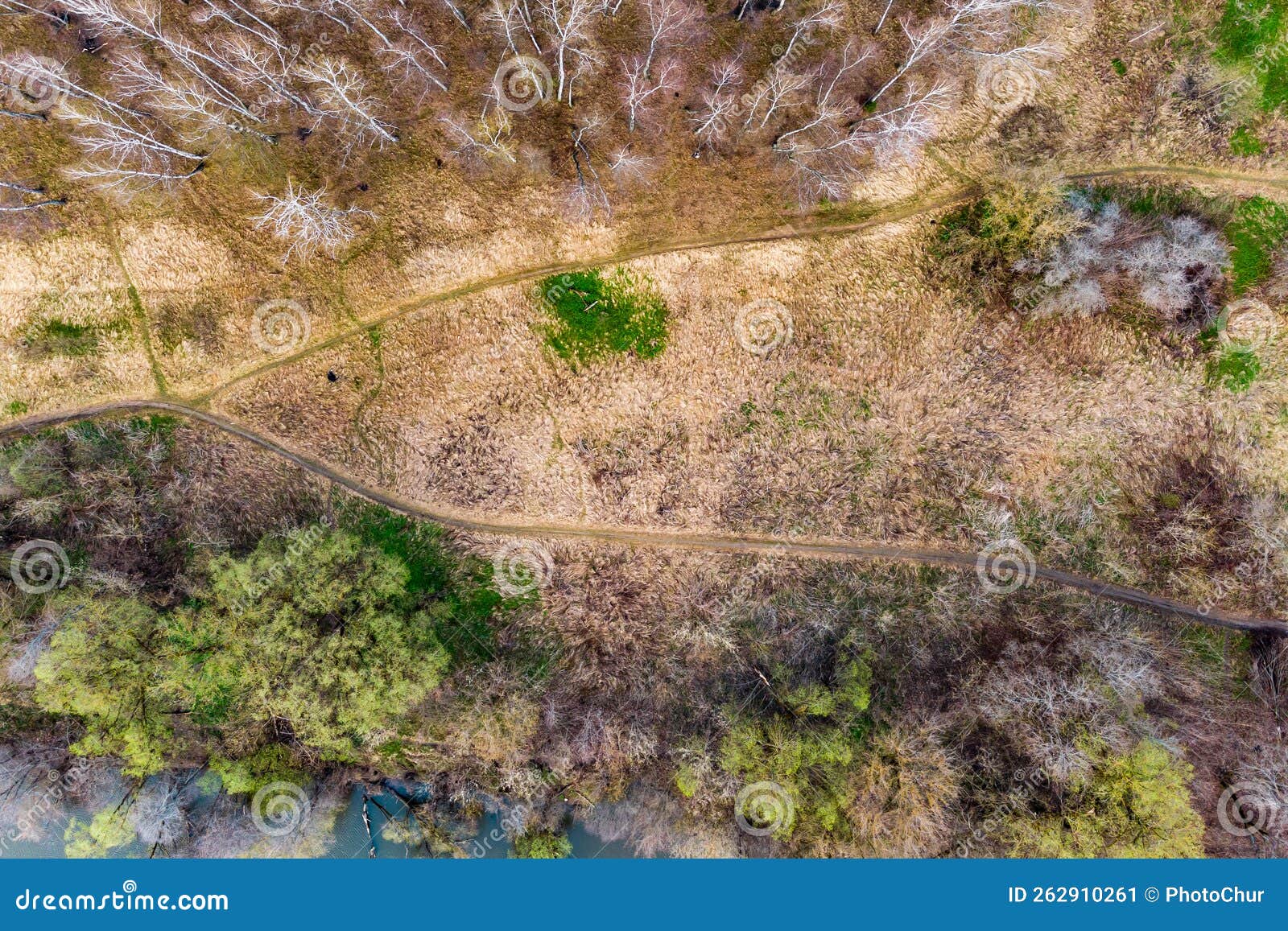Aerial View of Earth Surface with Trees and Field Stock Image - Image ...