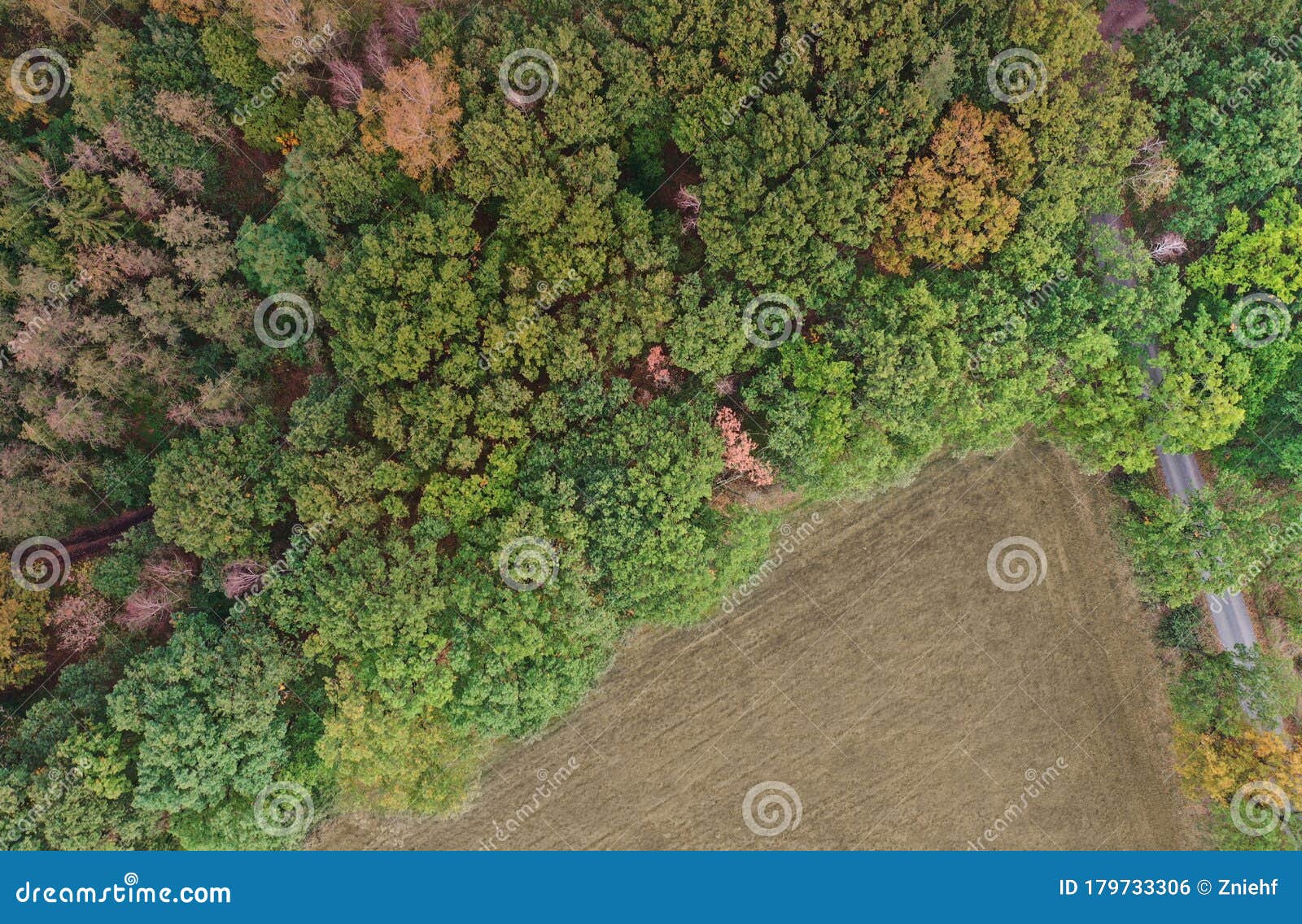 Aerial View of the Edge of a Forest with Deciduous Trees Next To Arable ...