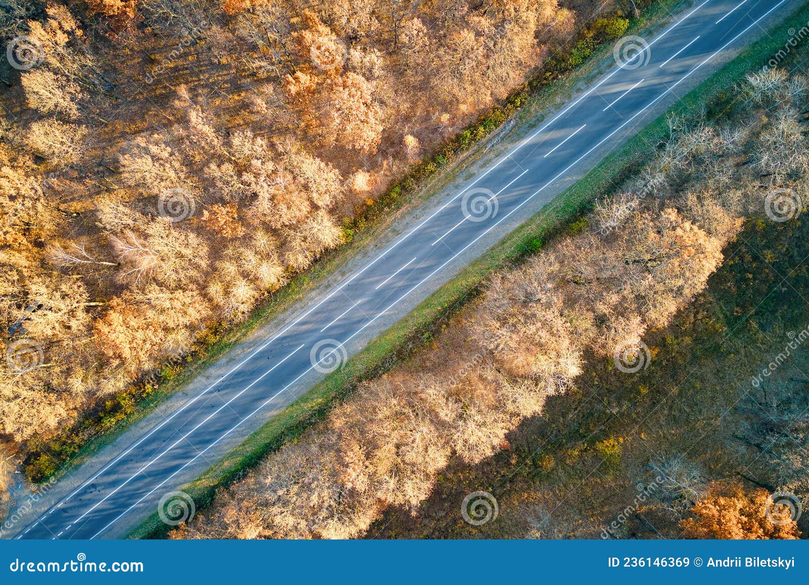 Aerial View of Empty Intercity Road between Autumn Woods at Sunset. Top ... Aerial View of Empty Intercity Road between Autumn Woods at Sunset. Top ...