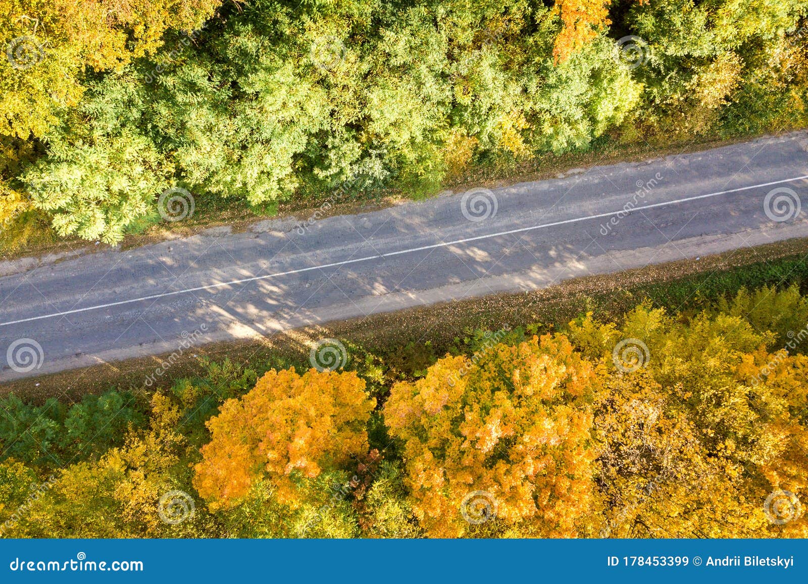 Aerial View of Empty Road between Yellow Fall Trees Stock Image - Image ...