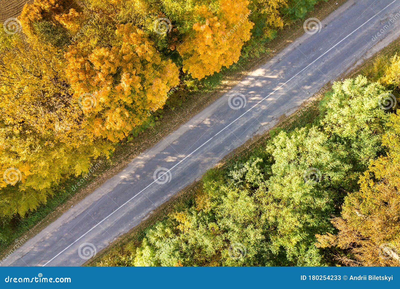 Aerial View of Empty Road between Yellow Fall Trees Stock Image - Image ...