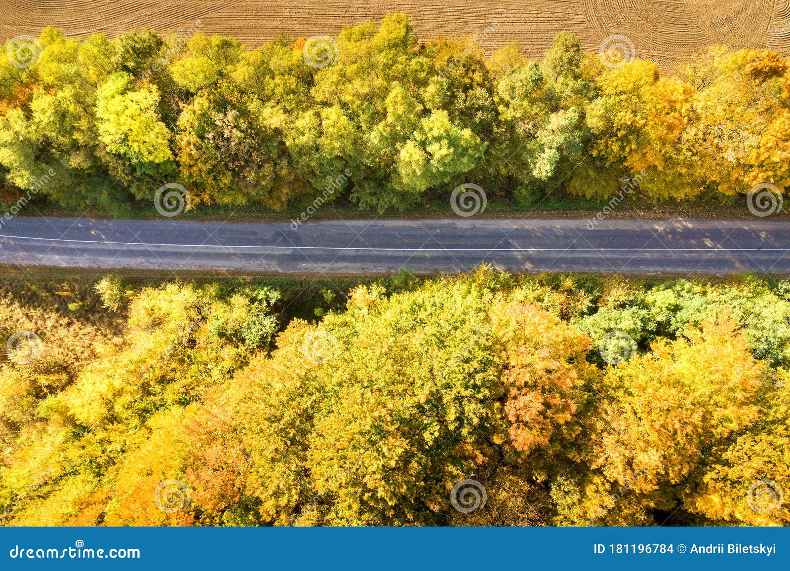 Aerial View of Empty Road between Yellow Fall Trees Stock Photo - Image ...