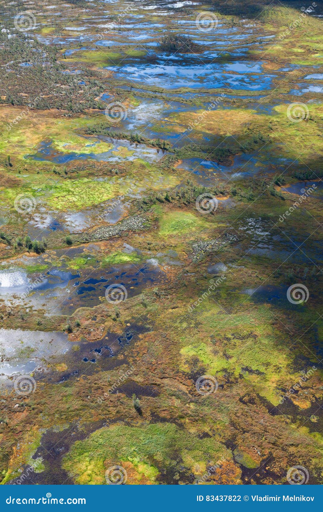 Aerial View of Endless Marshes in Autumn Stock Photo - Image of scenic ...