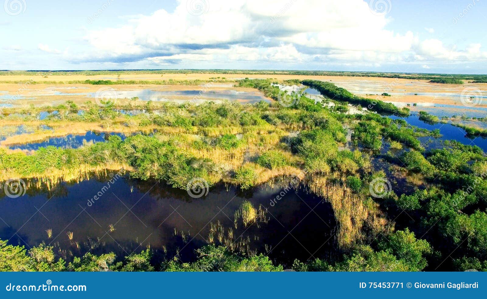 Aerial View of Everglades Swamp, Florida Stock Image - Image of florida ...