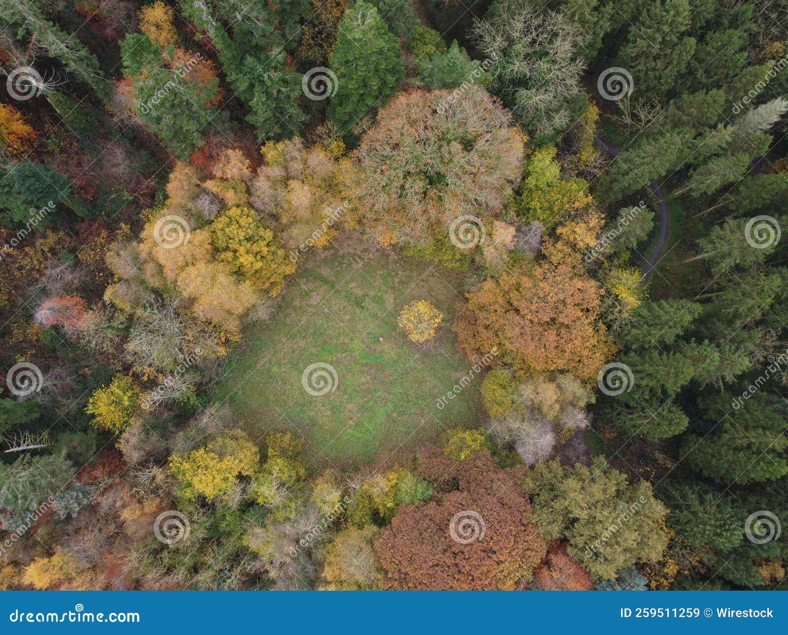 Aerial View of a Fall Forest with a Clearing in the Center Stock Image ...