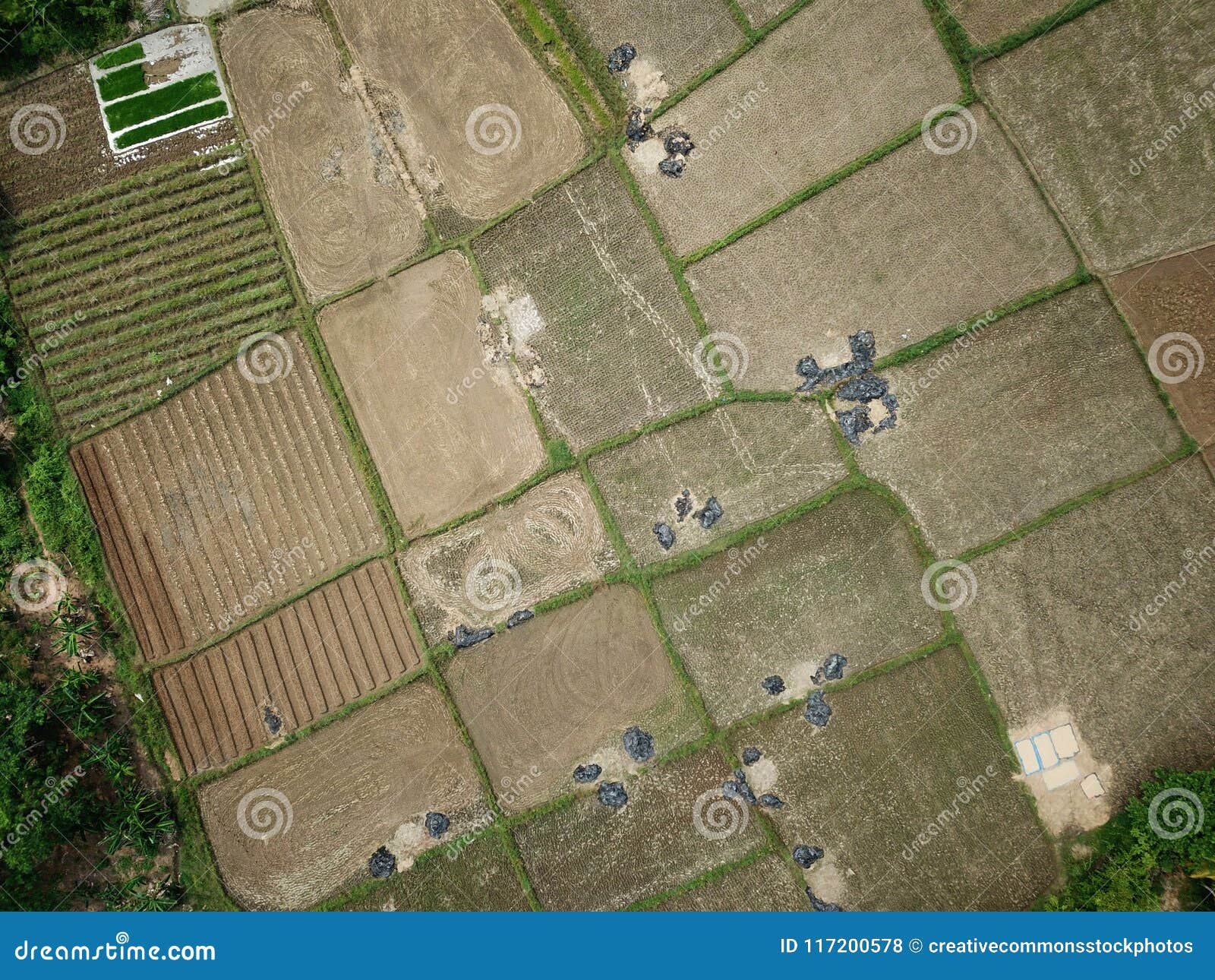 Aerial View Of Farm Picture. Image: 117200578