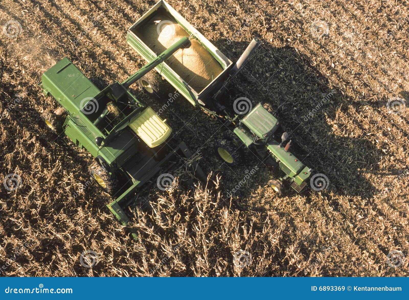 Aerial View of Farm Equipment in Corn Field_2 Stock Image - Image of ...
