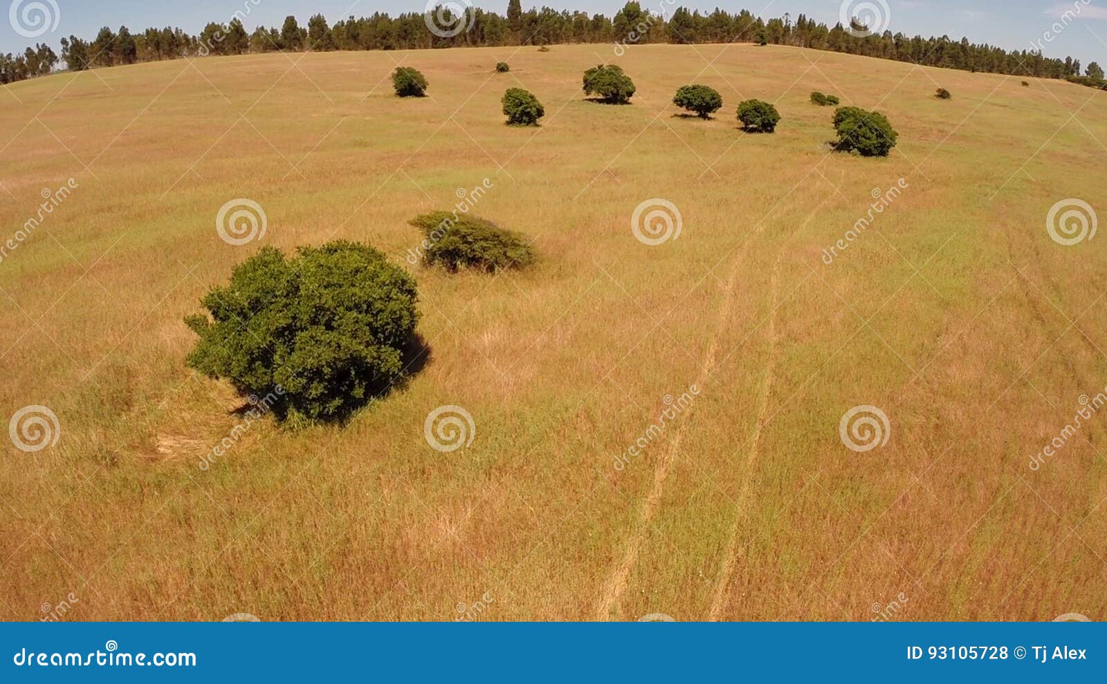 Aerial View of a Farm Field in Chile Stock Photo - Image of aerialcity ...