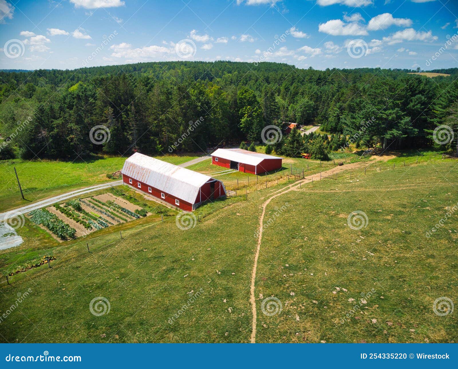 Aerial View of a Farm in the Forest Stock Photo - Image of summer ...
