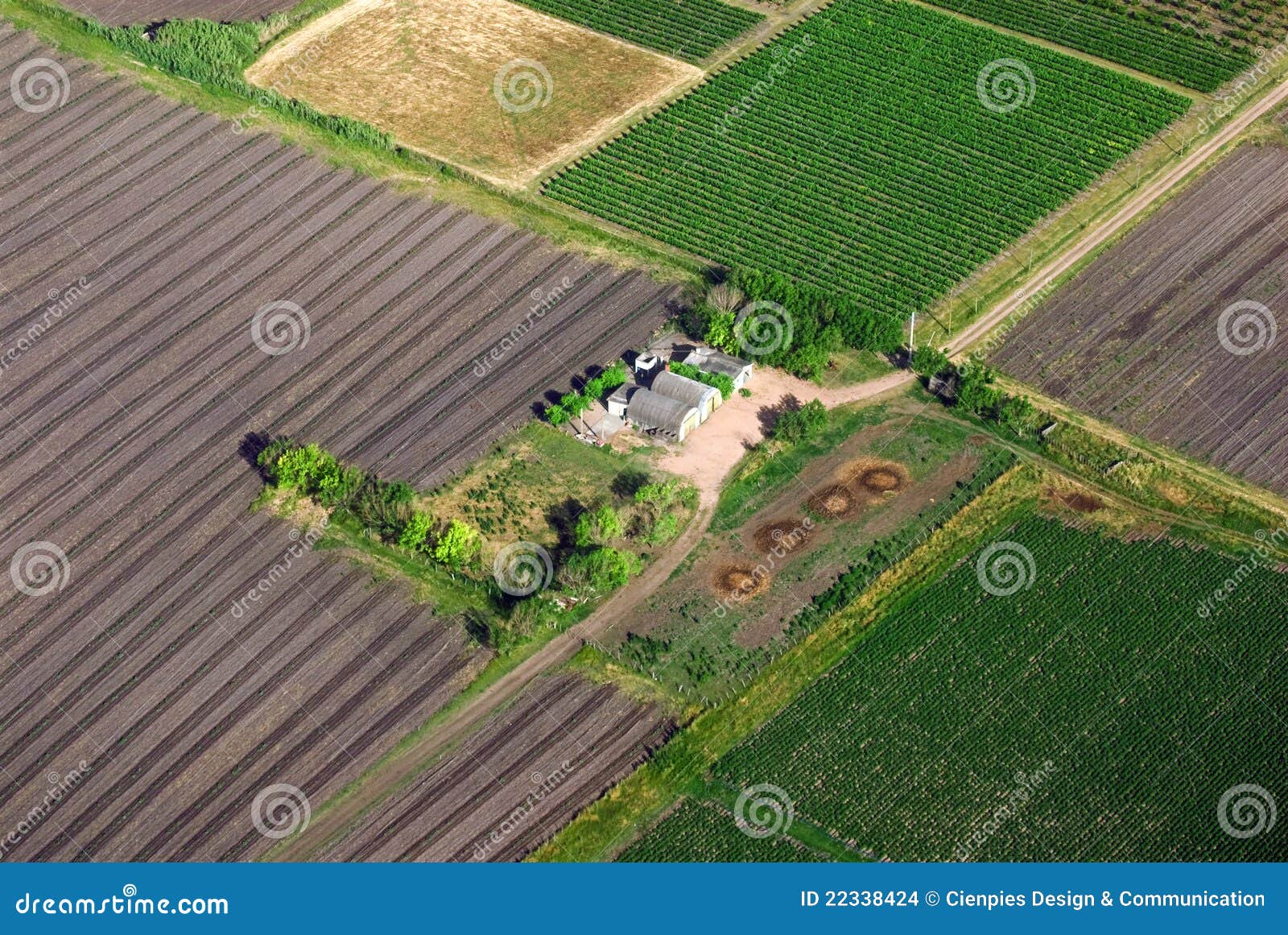 Aerial View of Farm with Green Fields Stock Photo - Image of meadow ...