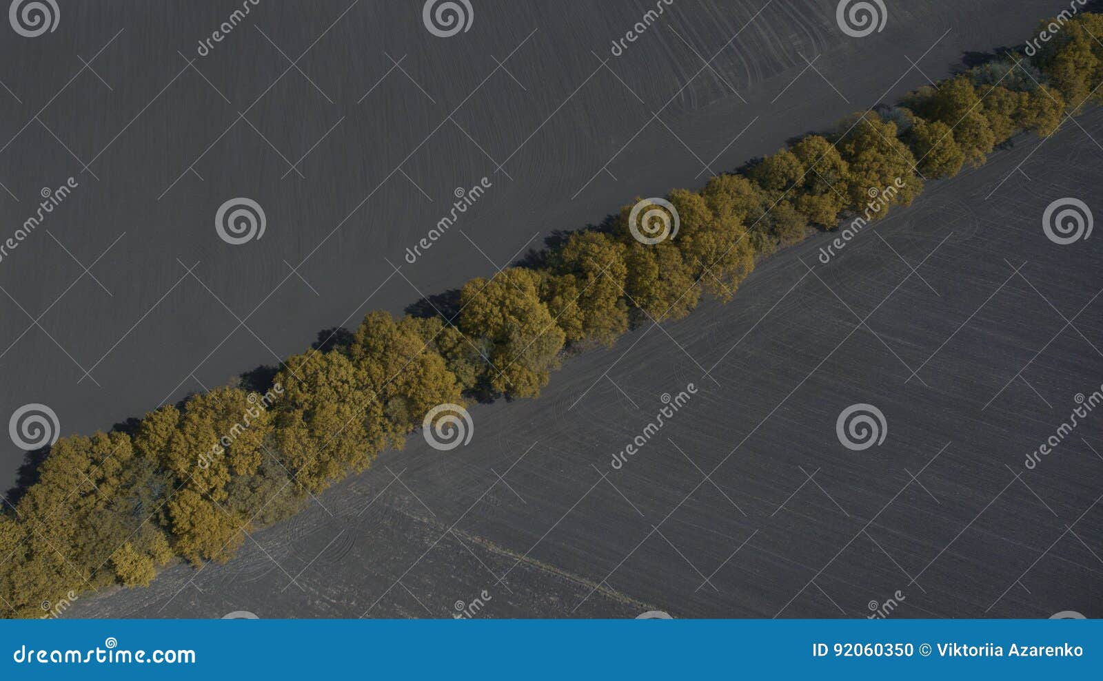 Aerial View of a Field from Above in the Spring Stock Photo - Image of ...