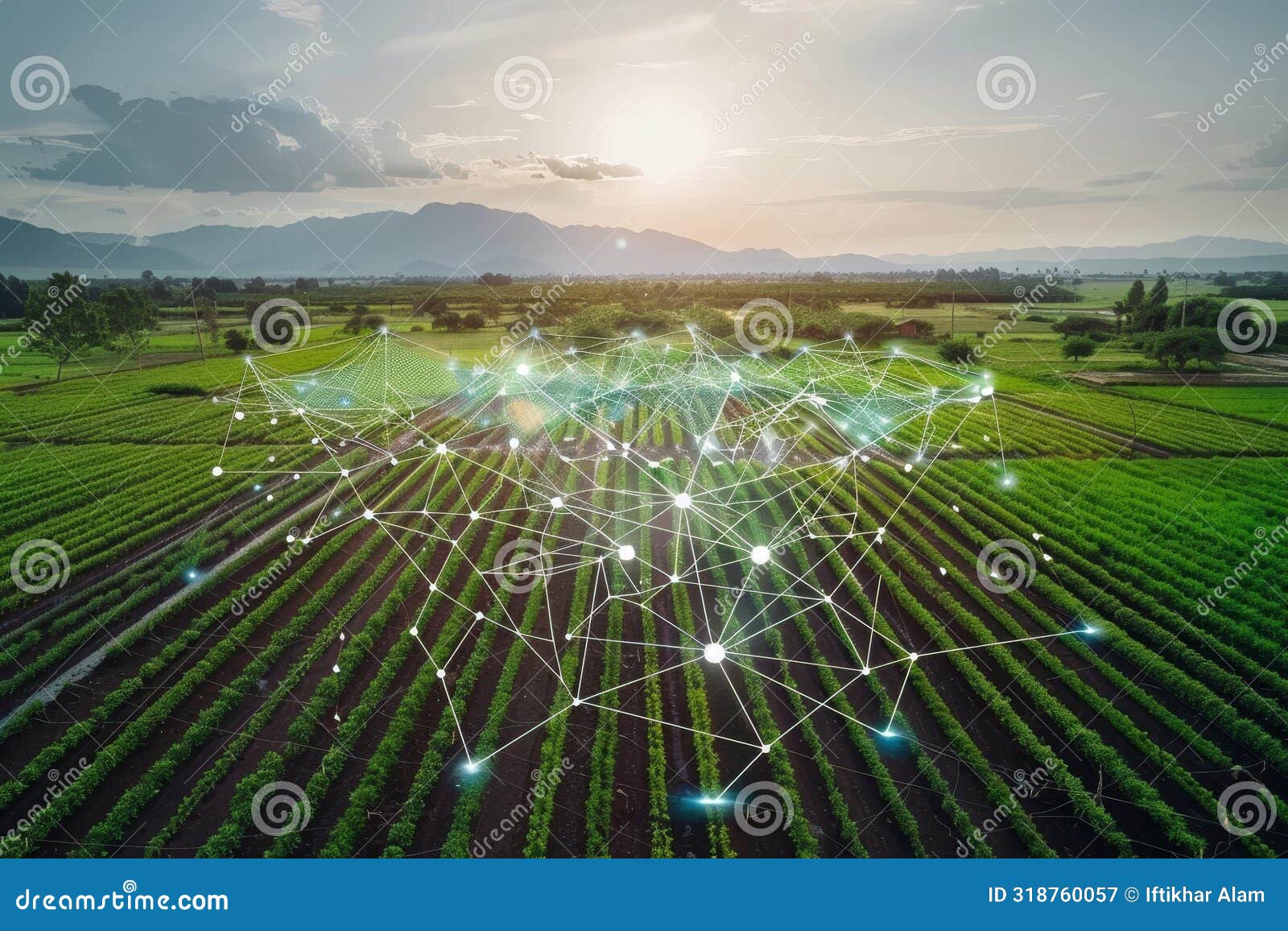 Aerial View of Field with Connected Network Lines, an Aerial View of a ...