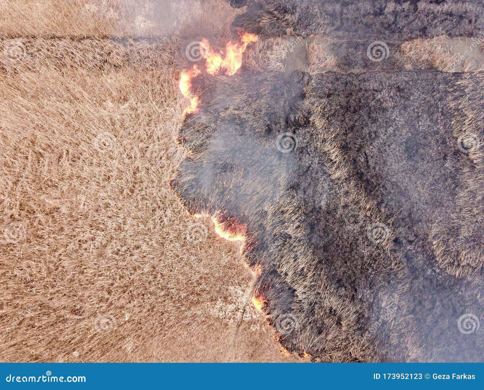 Aerial View of Field Fire, Smoke, Flames and Ashes Stock Image - Image ...