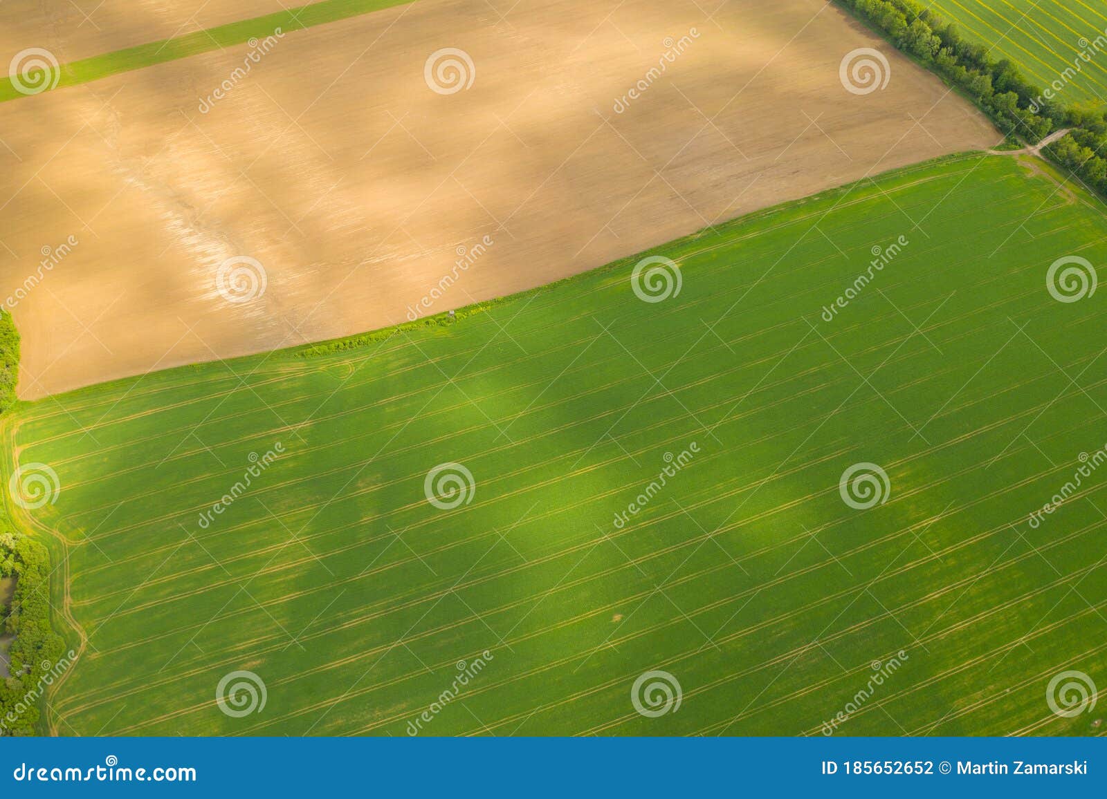 Aerial View of a Field with Green Sprouting Young Vegetation and a ...