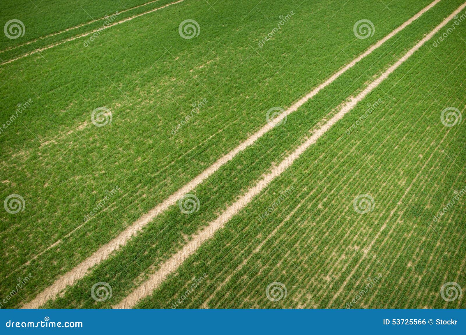 Aerial view of the field stock photo. Image of color - 53725566