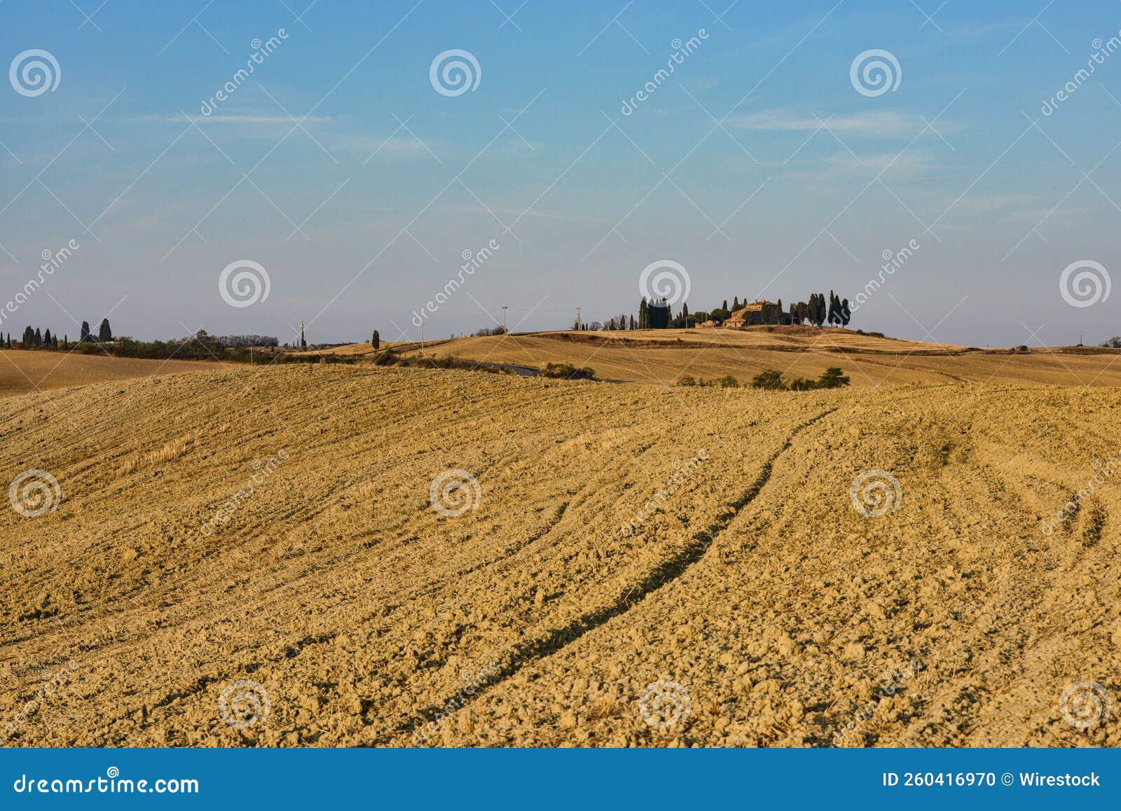 Aerial View of Field Surrounded by Trees Stock Photo - Image of leaves ...