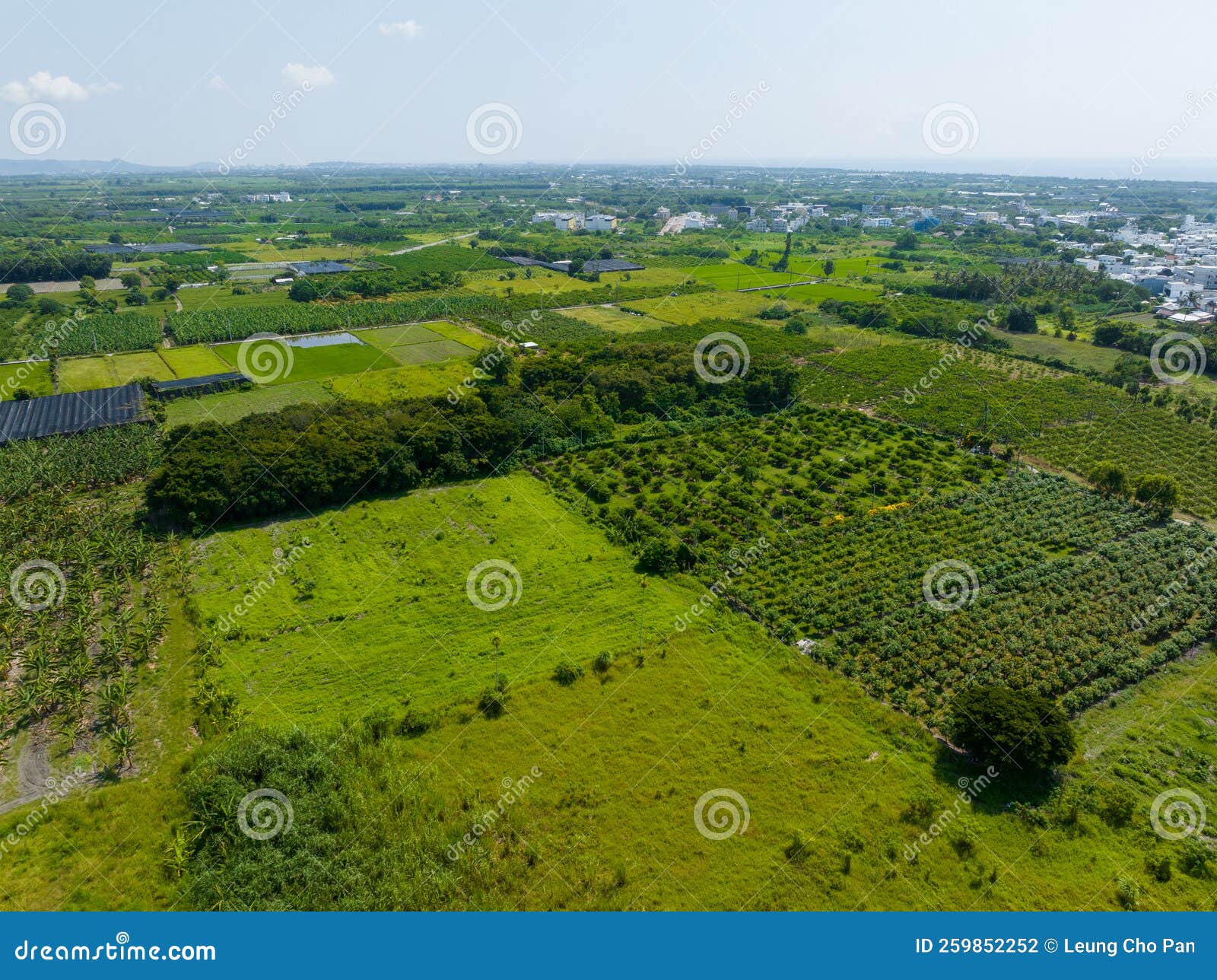 Aerial View of Field in Taitung of Taiwan Stock Photo - Image of field ...