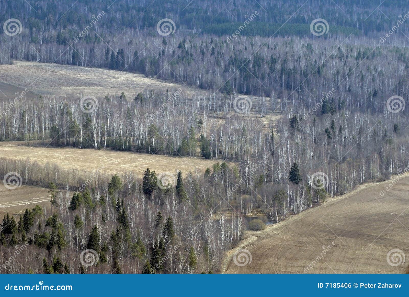 Aerial View of Fields and Forest. Stock Photo - Image of thicket, tree ...