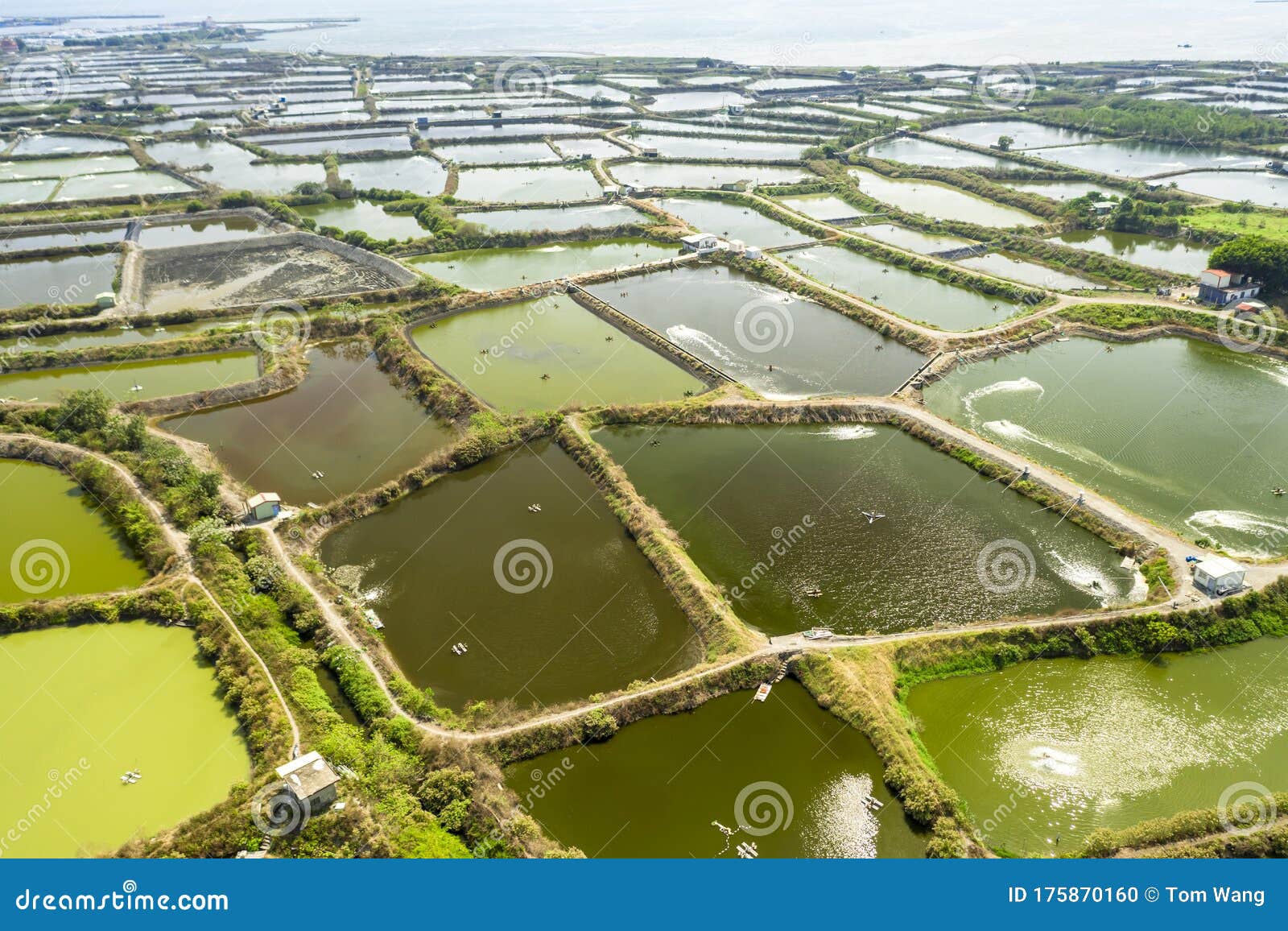 Fish Farm In Montenegro. The Farm For Breeding And Fish Farming Stock ...