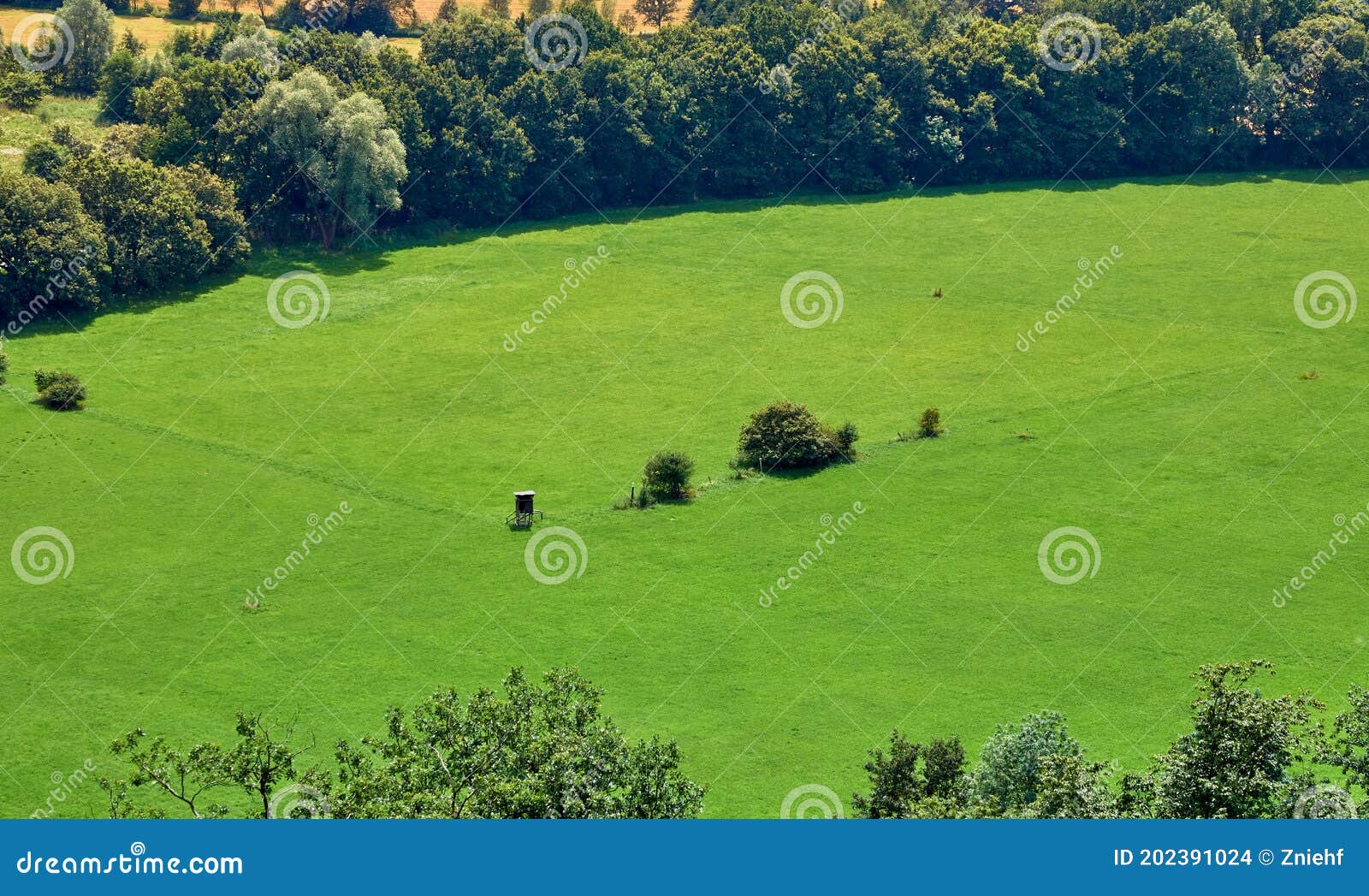 Aerial View of a Flat Flat Deep Green Meadow with a Few Bushes and a ...