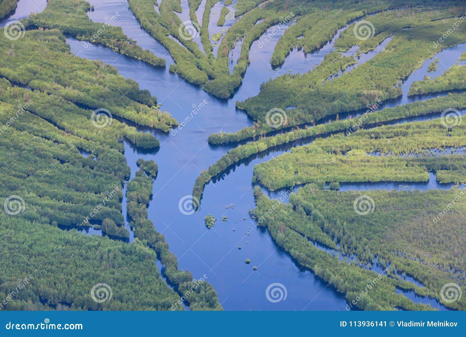Forest River in Spring, Top View Stock Image - Image of view, season ...