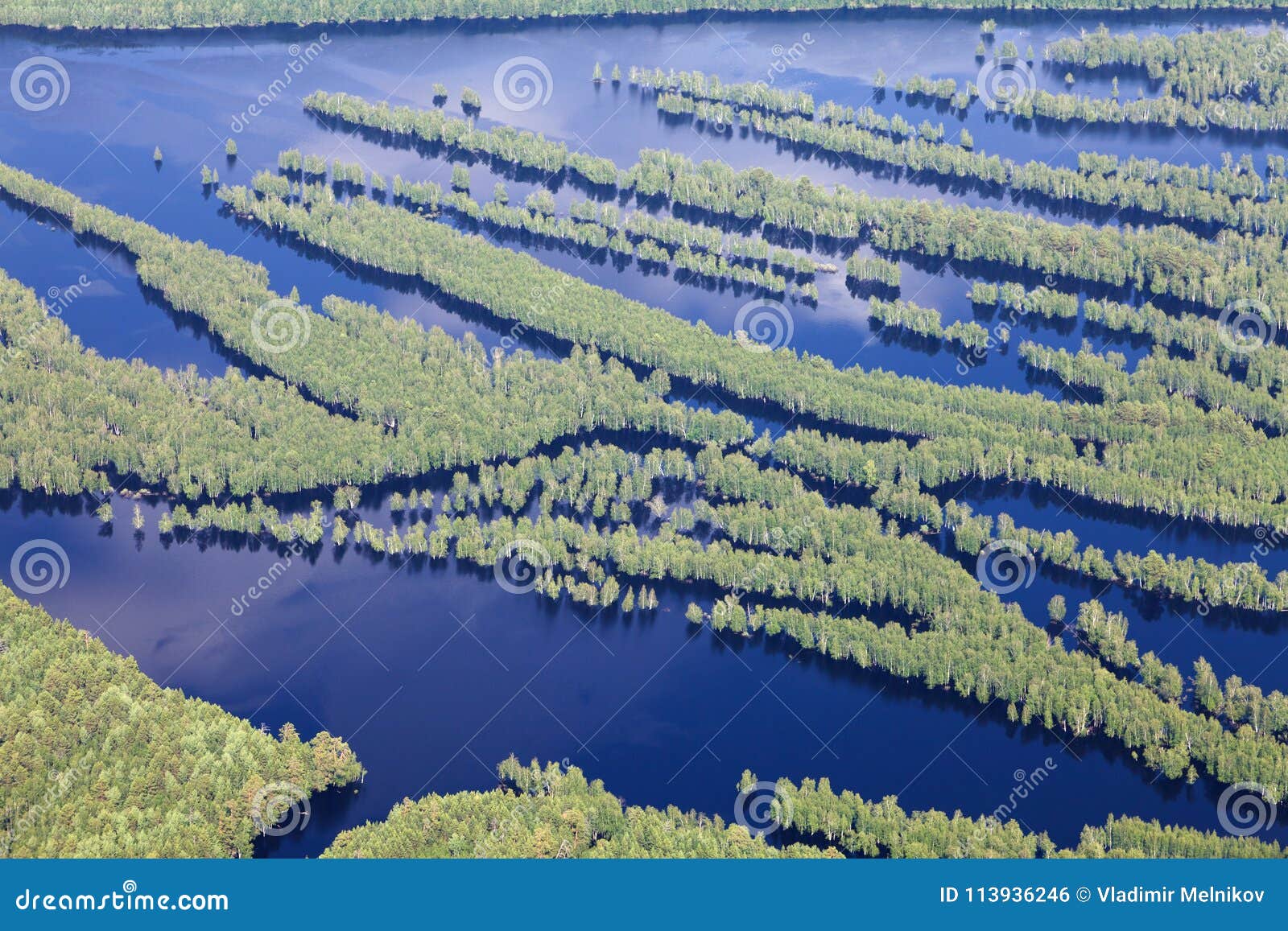 Forest River in Spring, Top View Stock Photo - Image of landscape ...