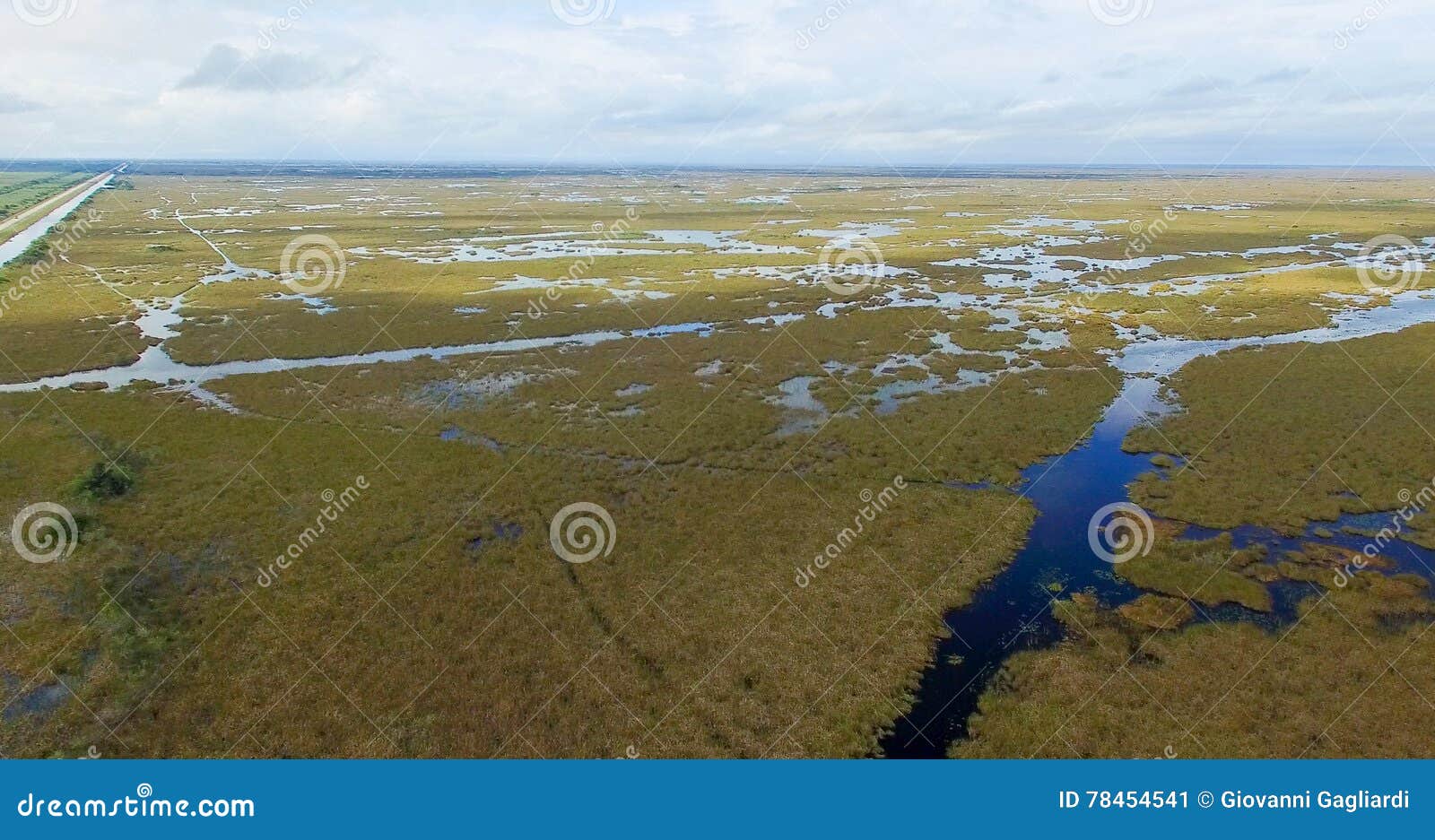 Aerial View of Florida Everglades Swamp Stock Image - Image of colorful ...