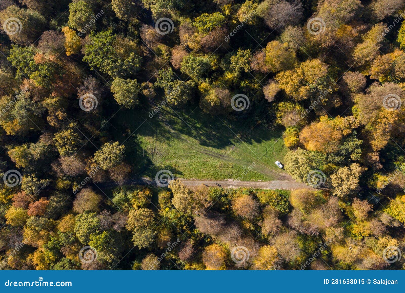 Aerial View of Forest Canopy in the Autumn Stock Image - Image of ...