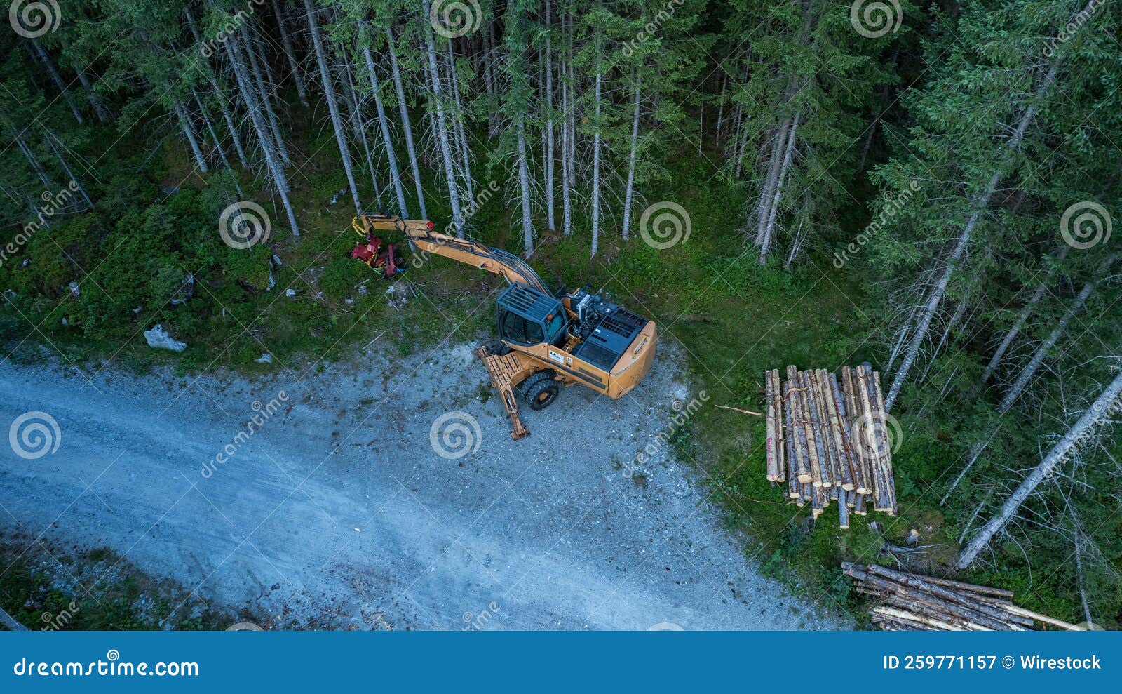 Aerial View of the Forest Cutting Stock Image - Image of cutting, rural ...