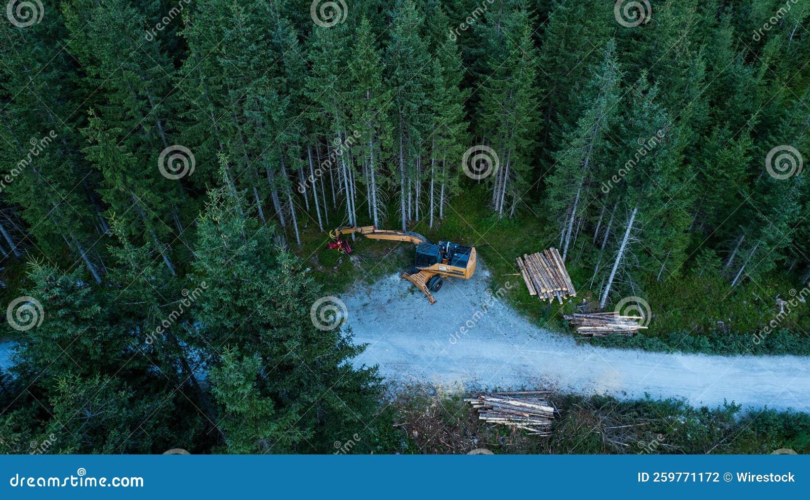 Aerial View of the Forest Cutting Stock Photo - Image of cutting ...