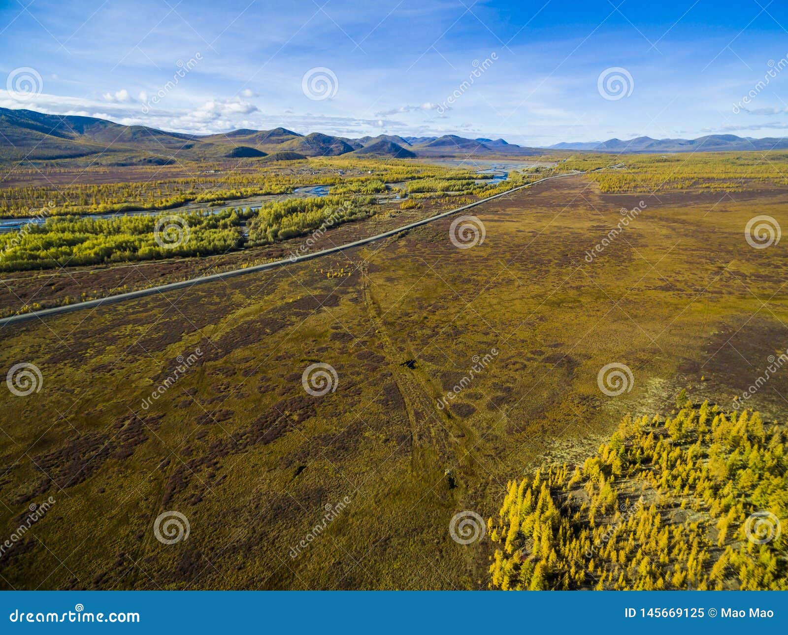 Aerial View of Forest in the Far East, Russia Stock Image - Image of ...