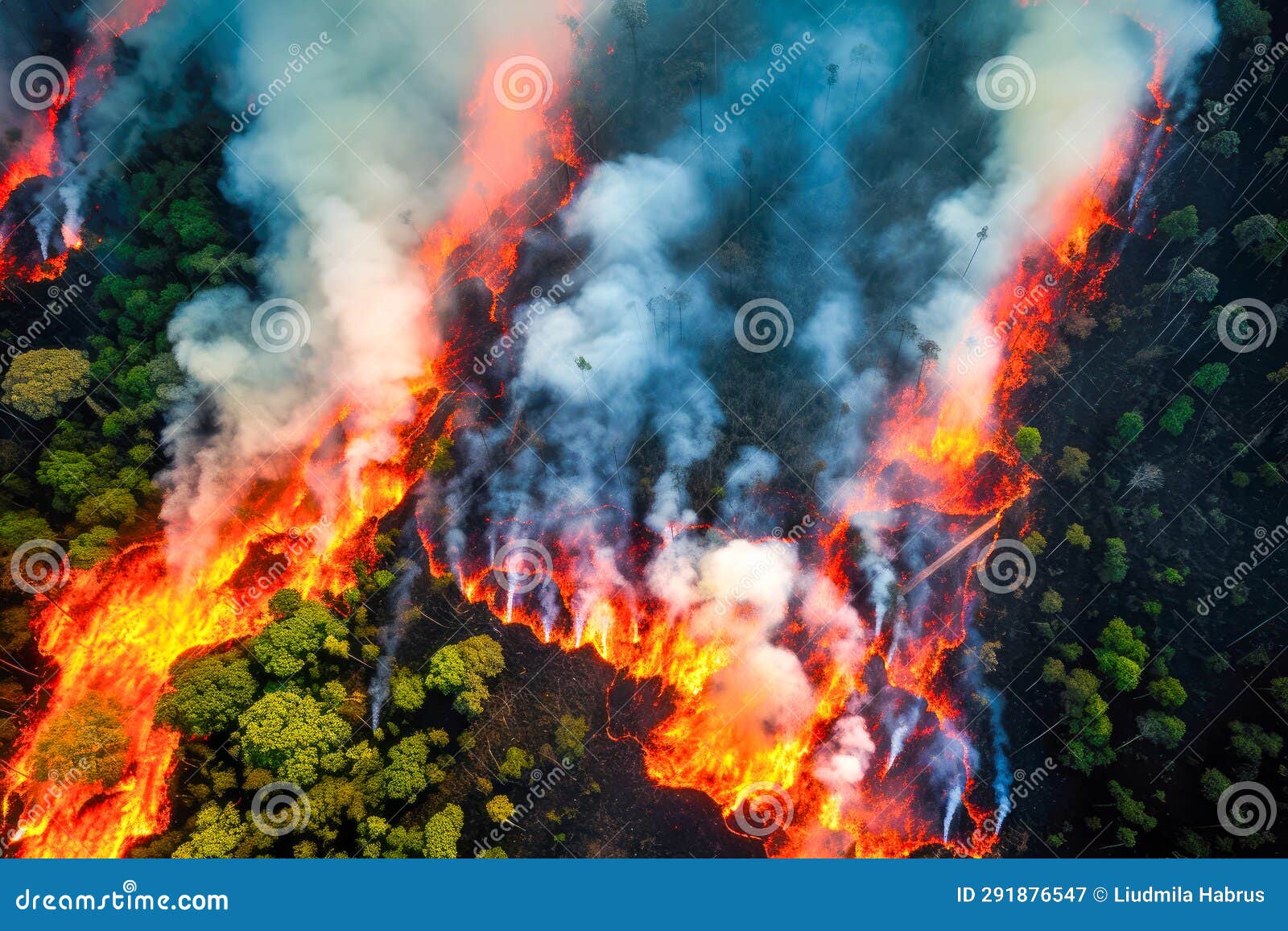 Aerial View of a Forest Fire in the Middle of the Forest Stock Image ...