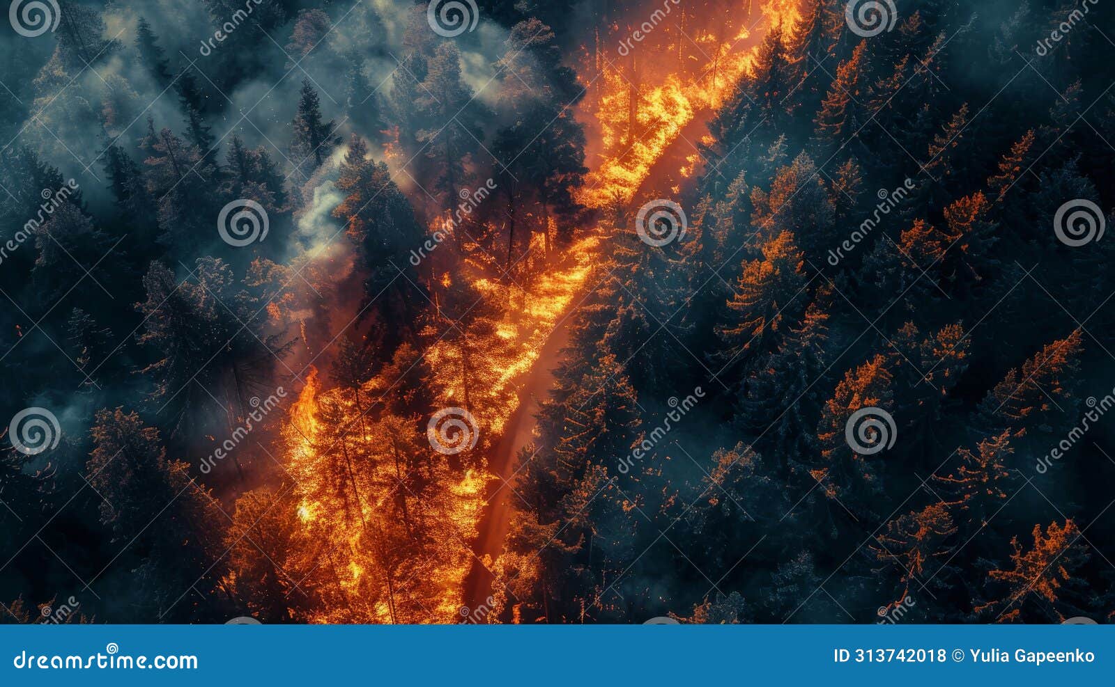 Aerial View of Forest Fire stock photo. Image of generative - 313742018