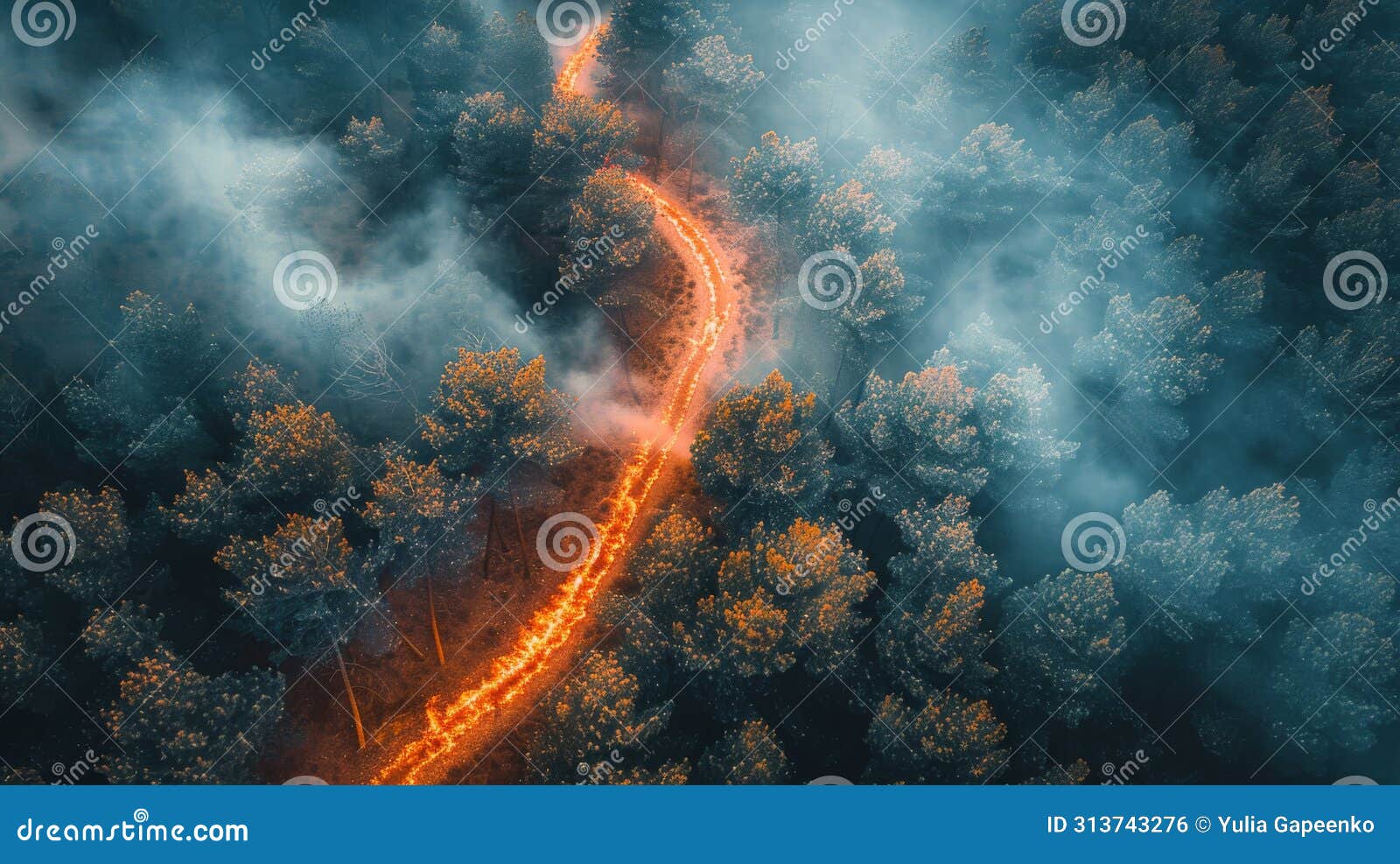 Aerial View of Forest Fire stock photo. Image of ecology - 313743276