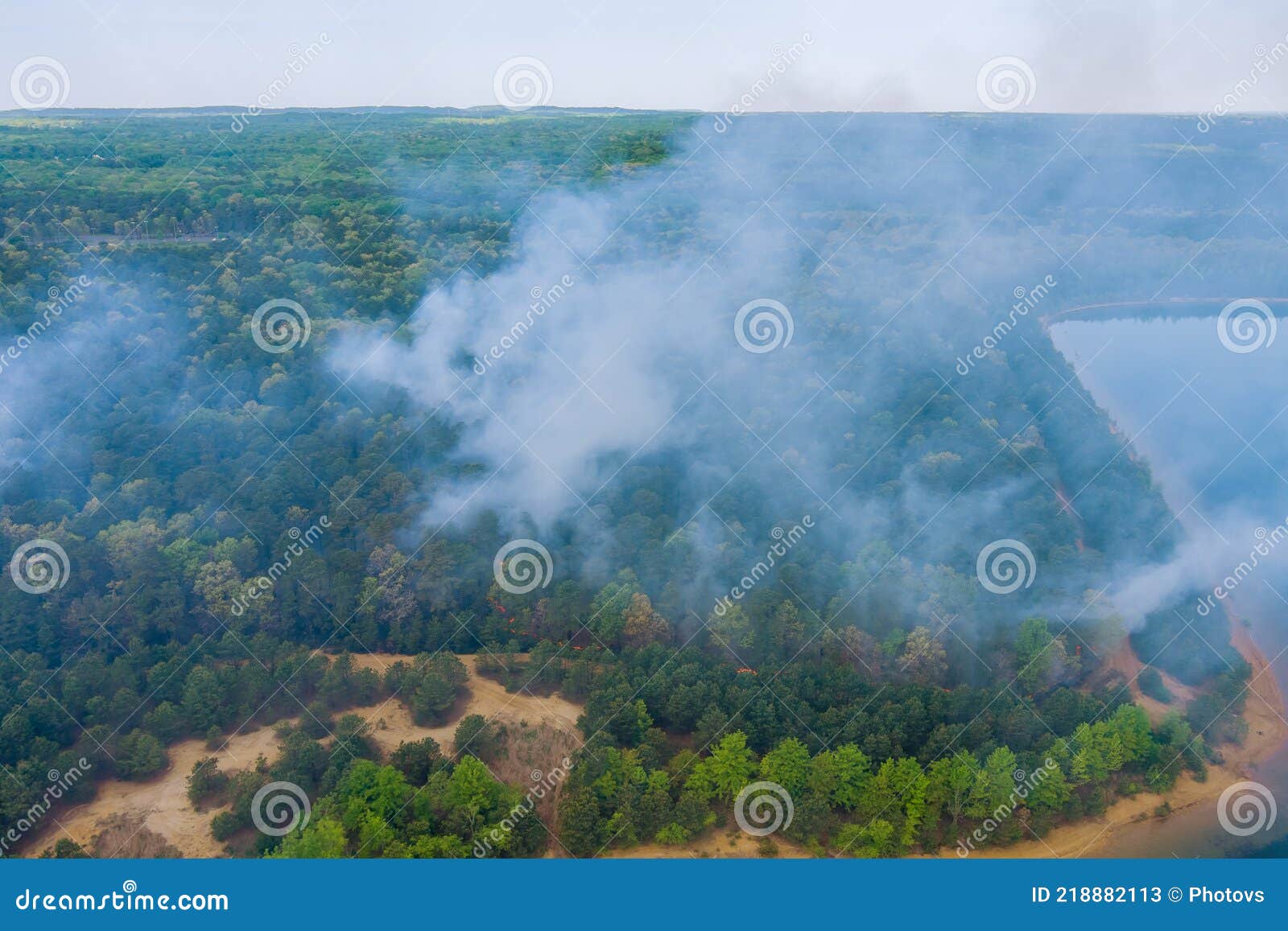 Aerial View of Forest Fire in Spring Fire in the Forest Stock Image ...