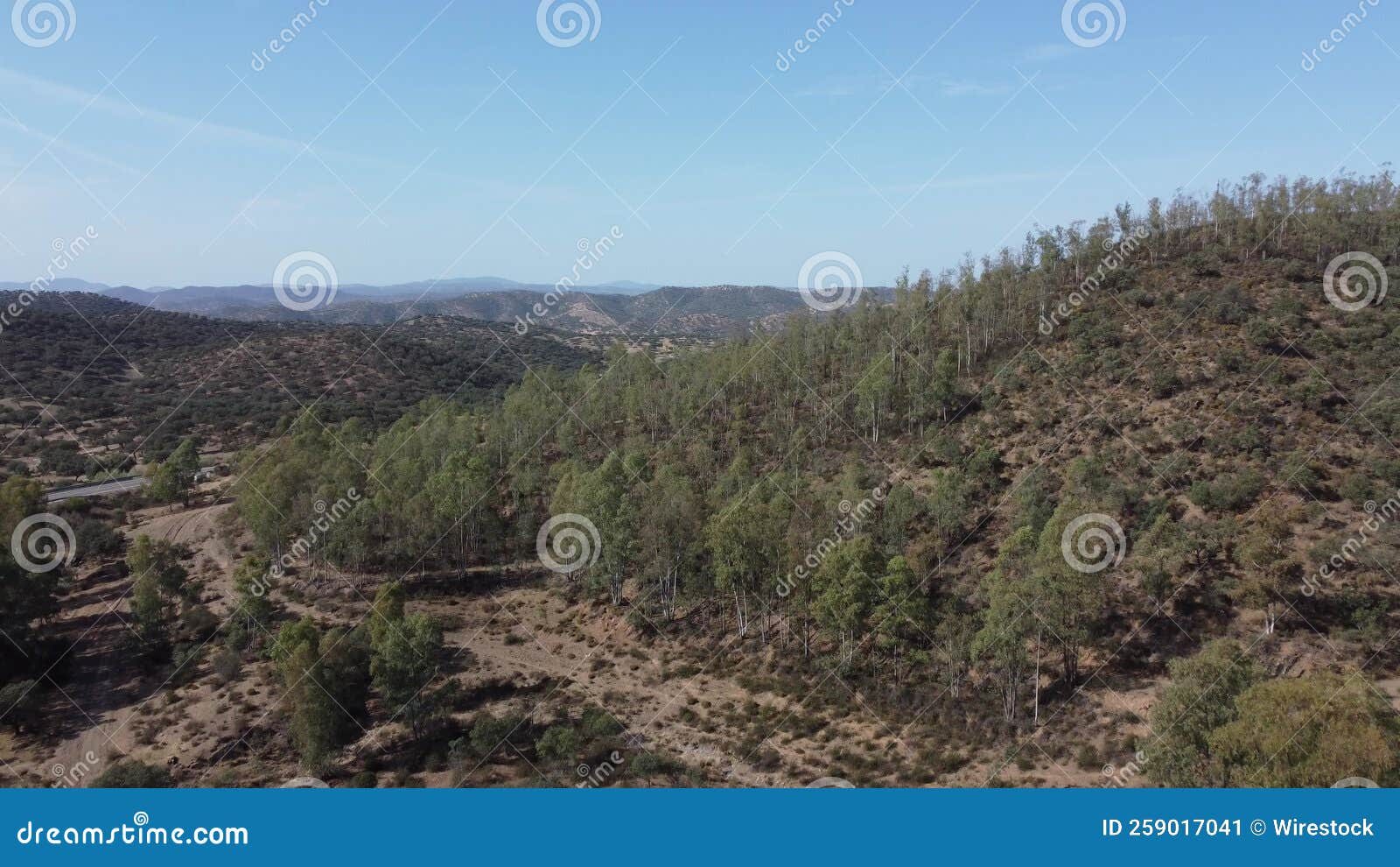 Aerial View of a Forest on the Hill on a Sunny Day Stock Video - Video ...