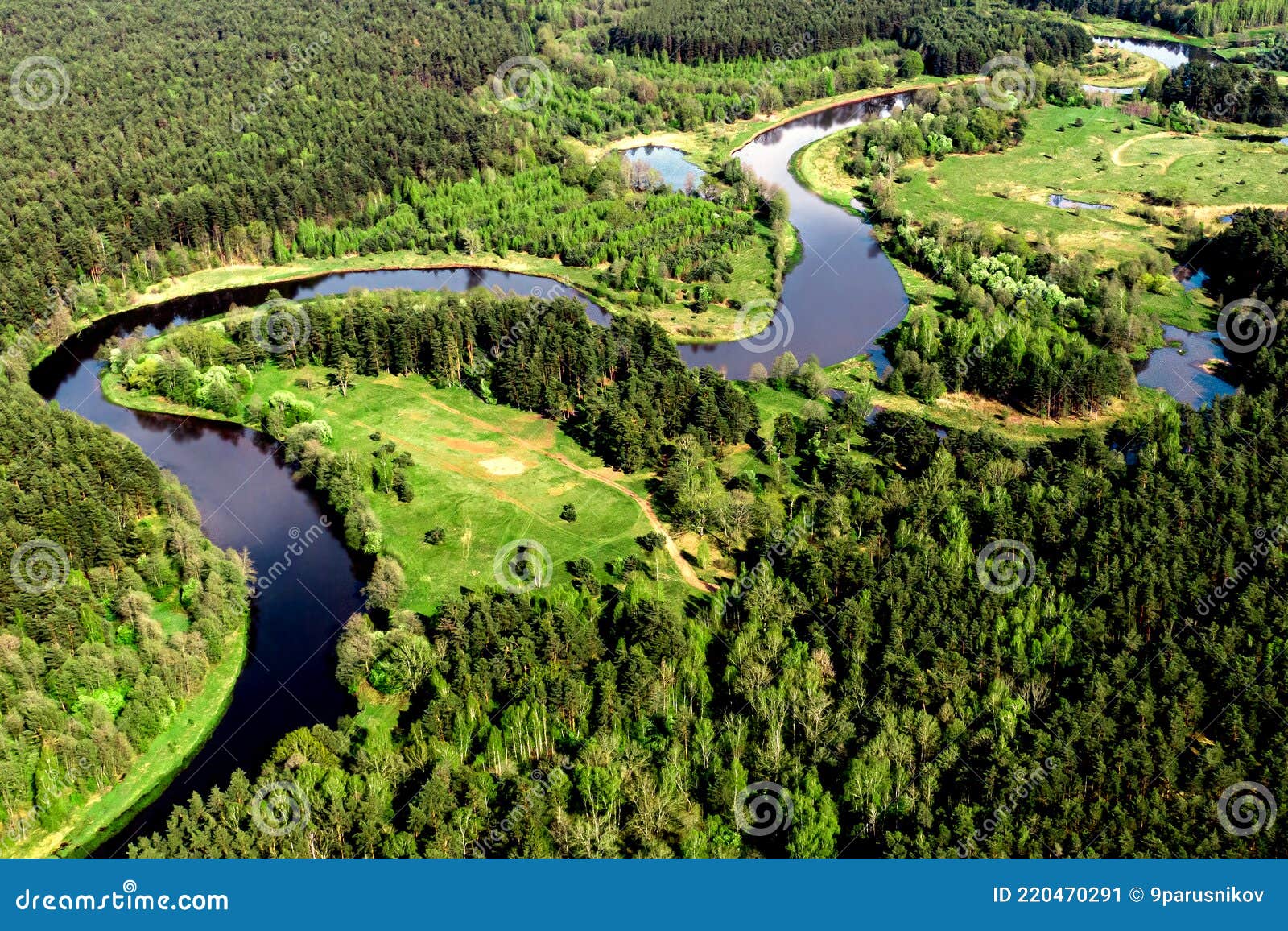Aerial View of the Forest River.. Stock Image - Image of wild, jungle ...