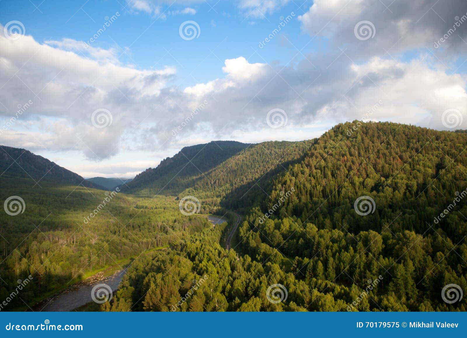 Aerial View on the Forest and River Stock Image - Image of forest ...