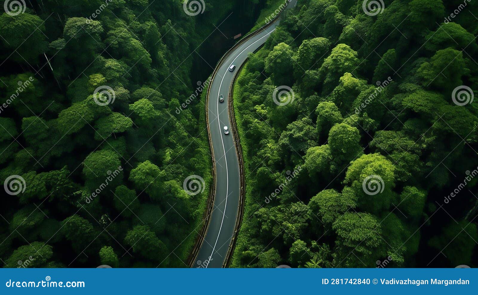 Aerial View Green Forest Road Stock Illustration - Illustration of ...