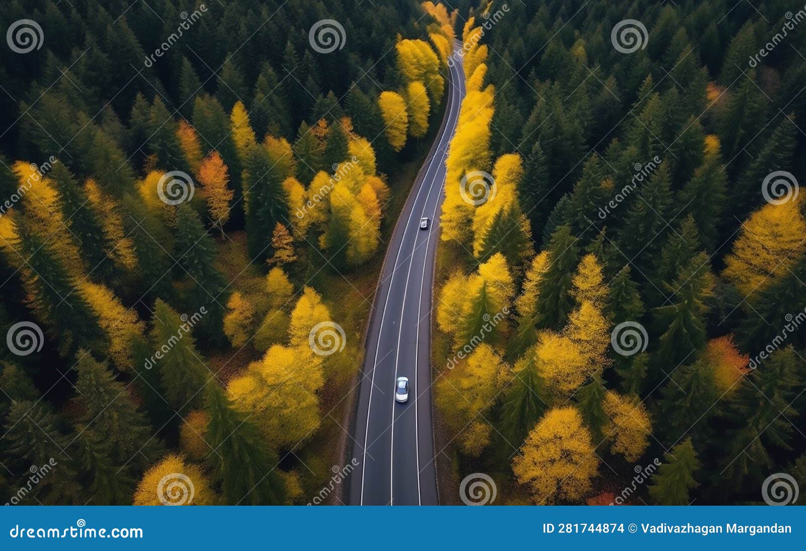 Aerial View Green Forest Road Stock Illustration - Illustration of view ...