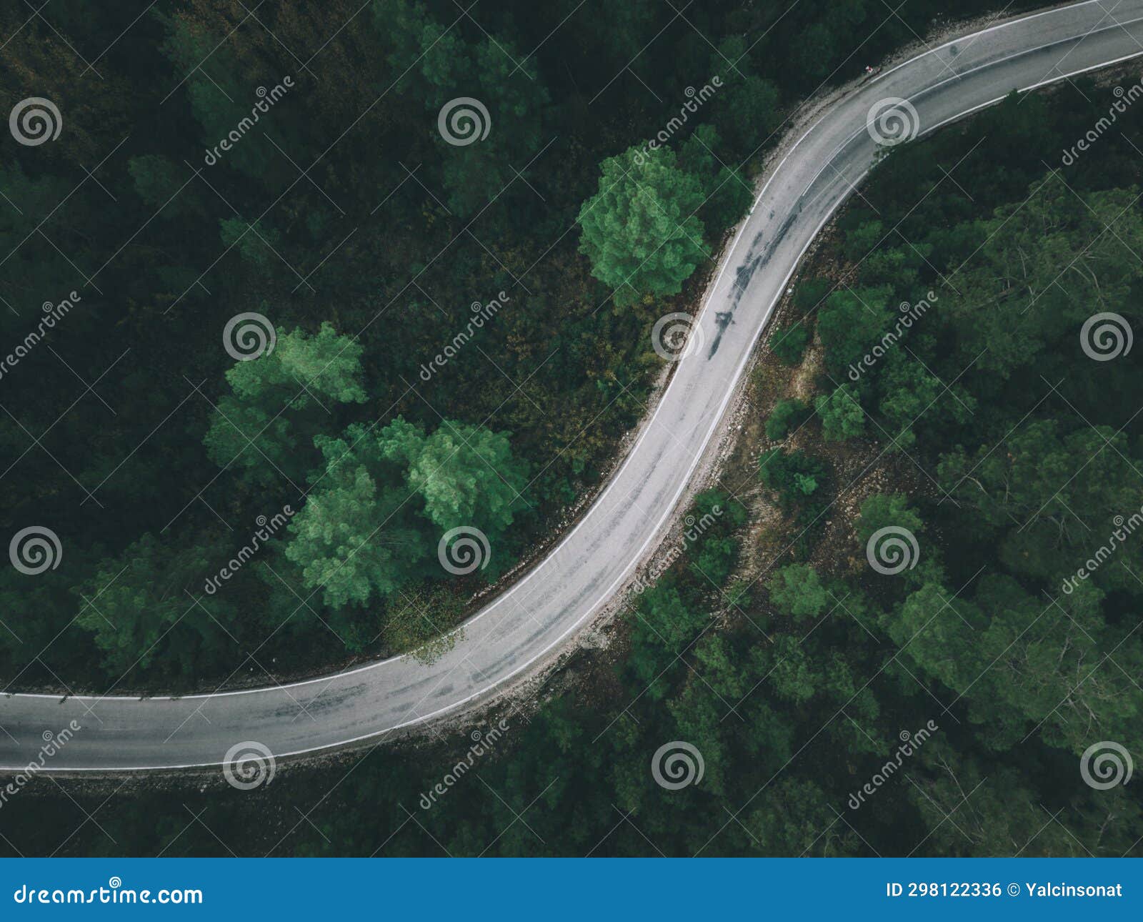 Aerial View of Forest Road with Pine Trees on Both Sides in Autumn ...