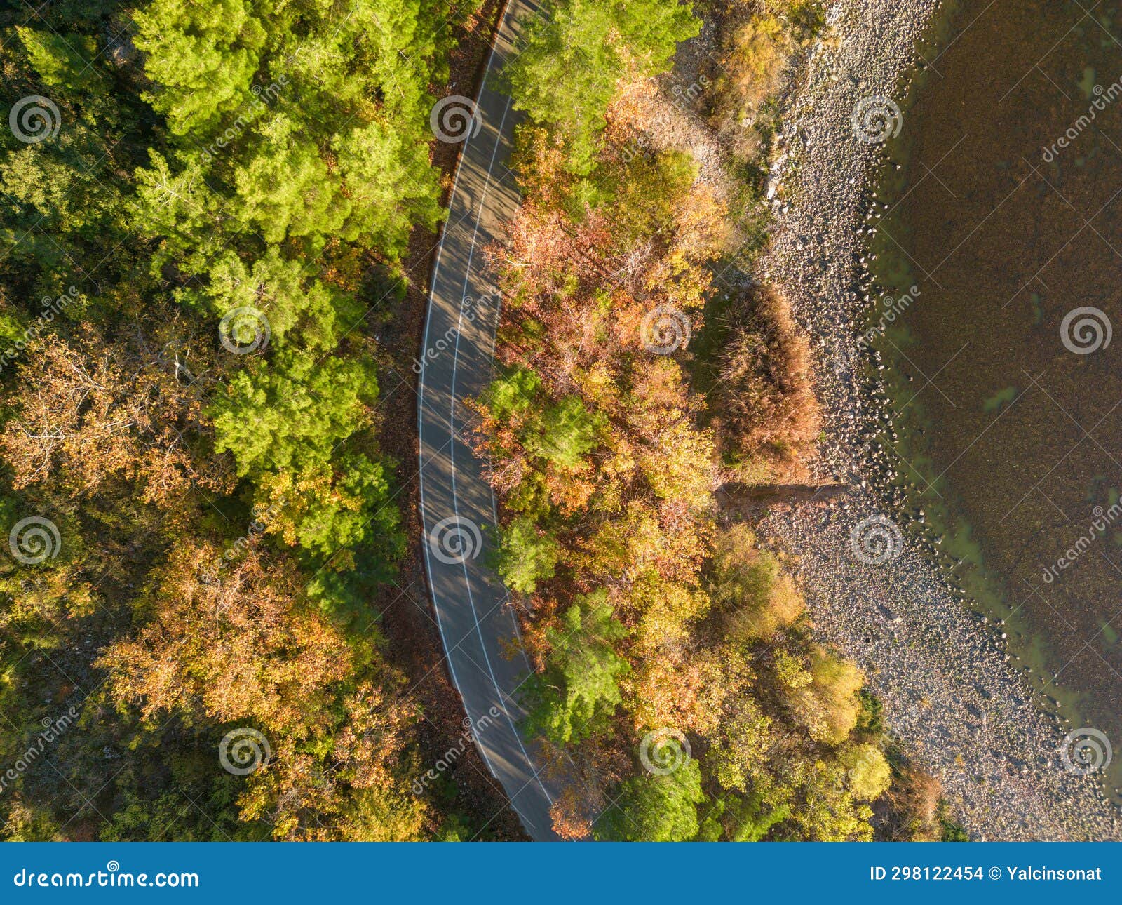 Aerial View of Forest Road with Pine Trees on Both Sides in Autumn ...