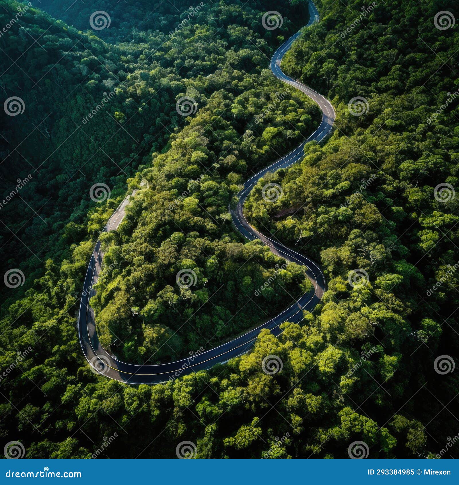 Aerial View of a Forest Road. Aerial View of a Provincial Road Passing ...