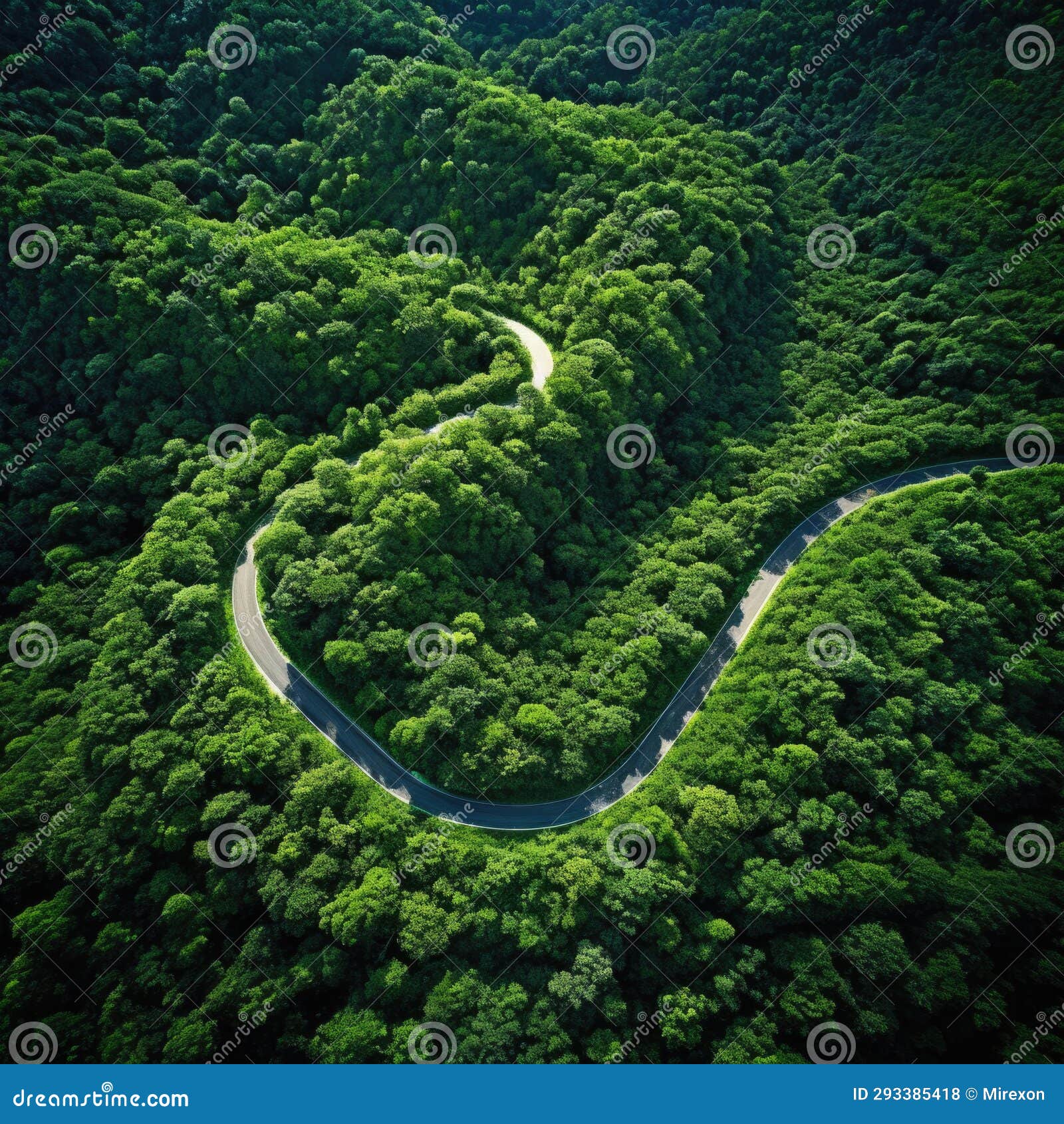 Aerial View of a Forest Road. Aerial View of a Provincial Road Passing ...