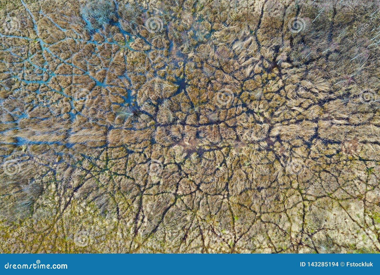 Multiple Forest Paths Stock Photos - Free & Royalty-Free Stock Photos ...