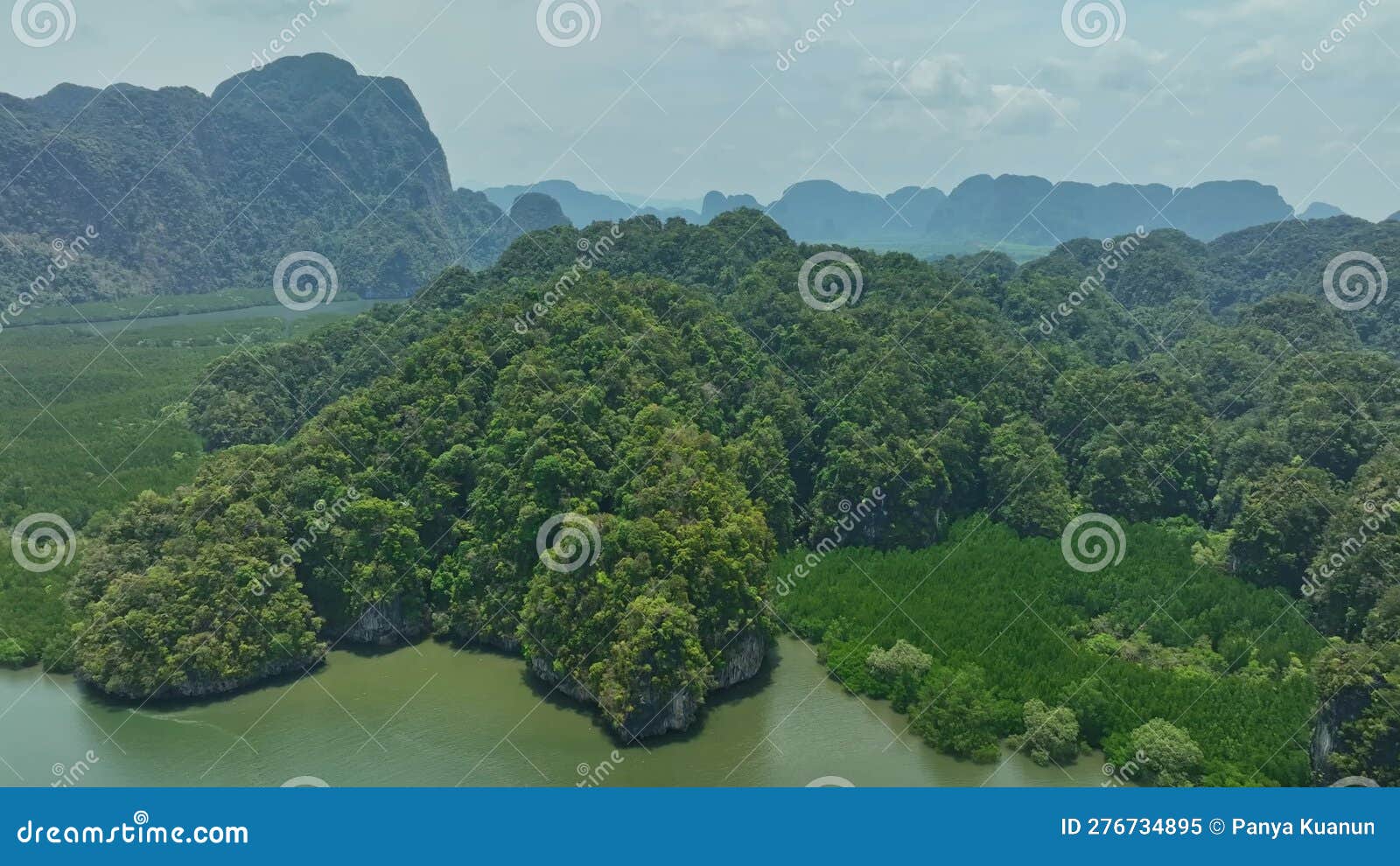 Aerial View of Forest Trees Rainforest Ecosystem Stock Video - Video of ...