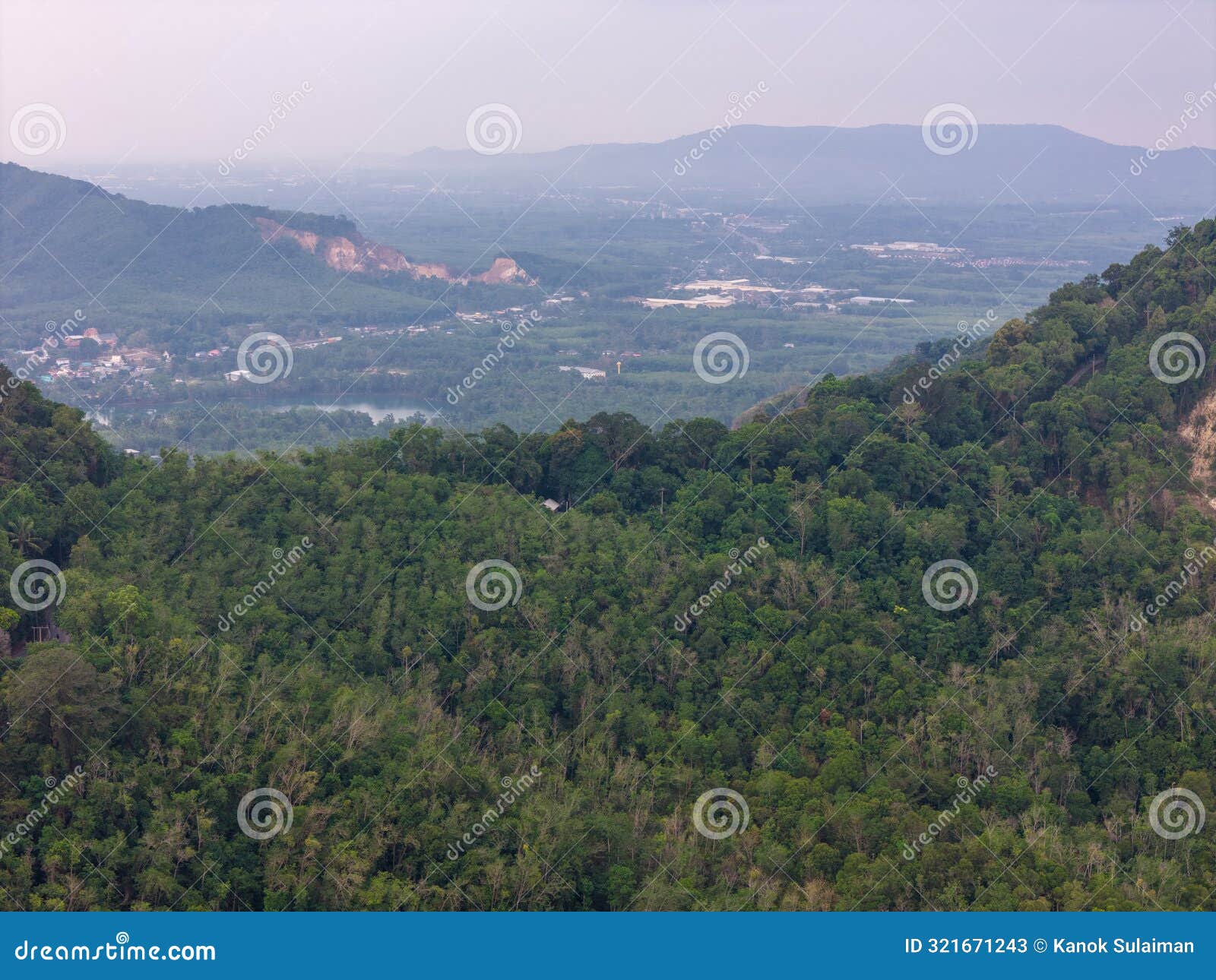 Aerial View Forest Trees, Rainforest Ecosystem and Healthy Environment ...