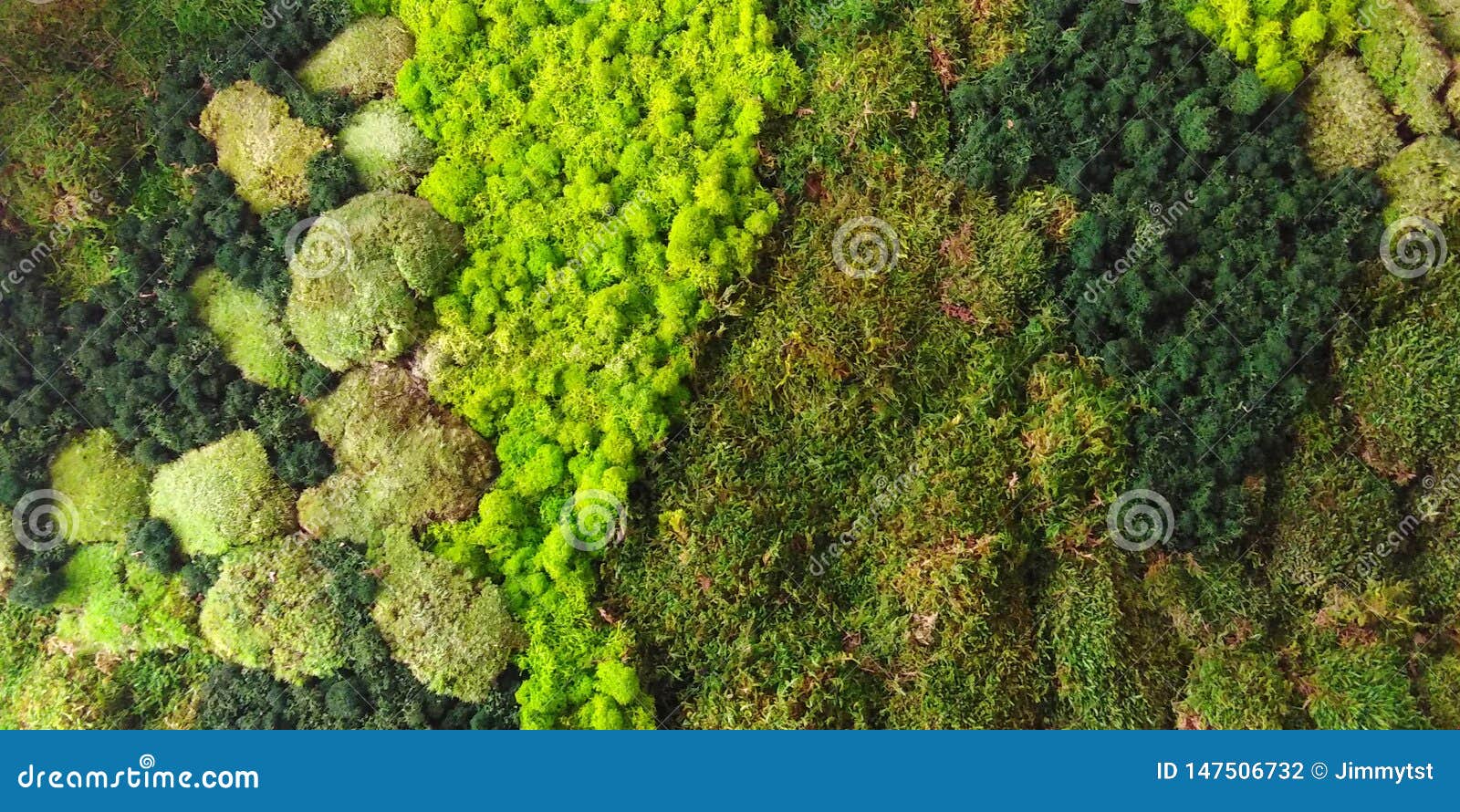 Aerial View of Forest Vegetation Model | Background Texture Stock Photo ...
